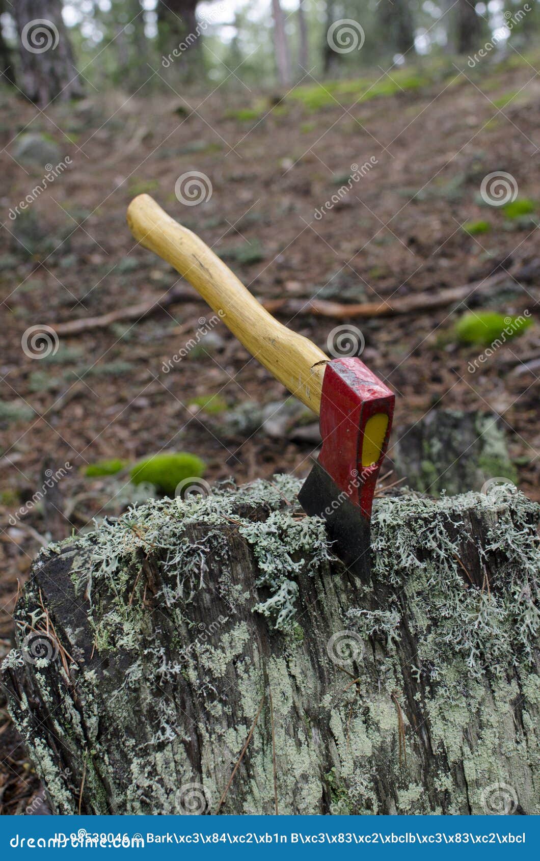 Axe stuck in log stock photo. Image of hurl, sticking - 98539046
