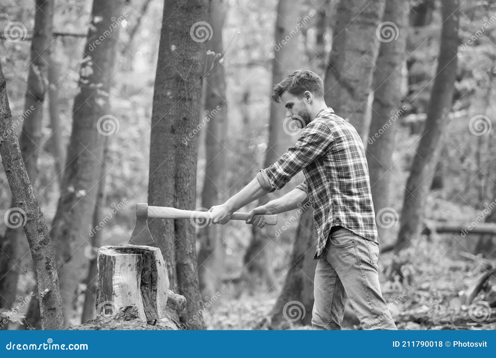 Woodsman Cut Tree Stump with Ax, Outdoor Stock Photo - Image of ...