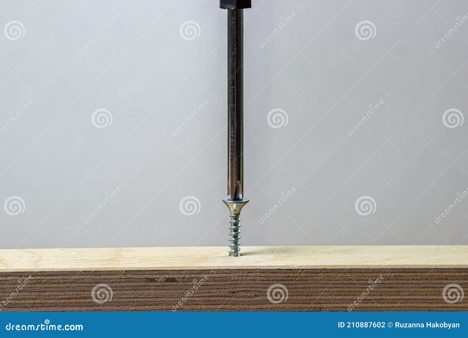 Woodwork. a Screwdriver Screws a Self-tapping into a Tree Stock Photo ...