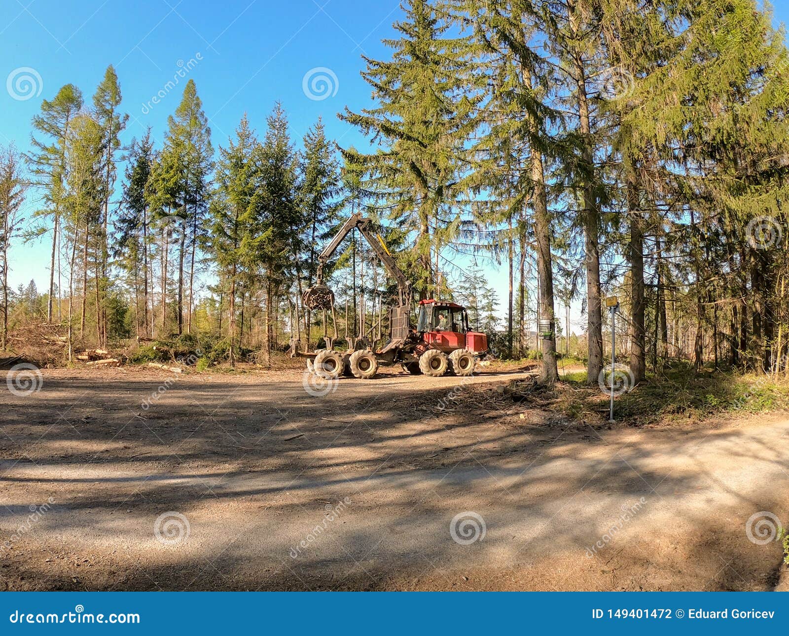 Woodworking in the Forest. Cleaning Fallen Trees after a Strong Wind ...