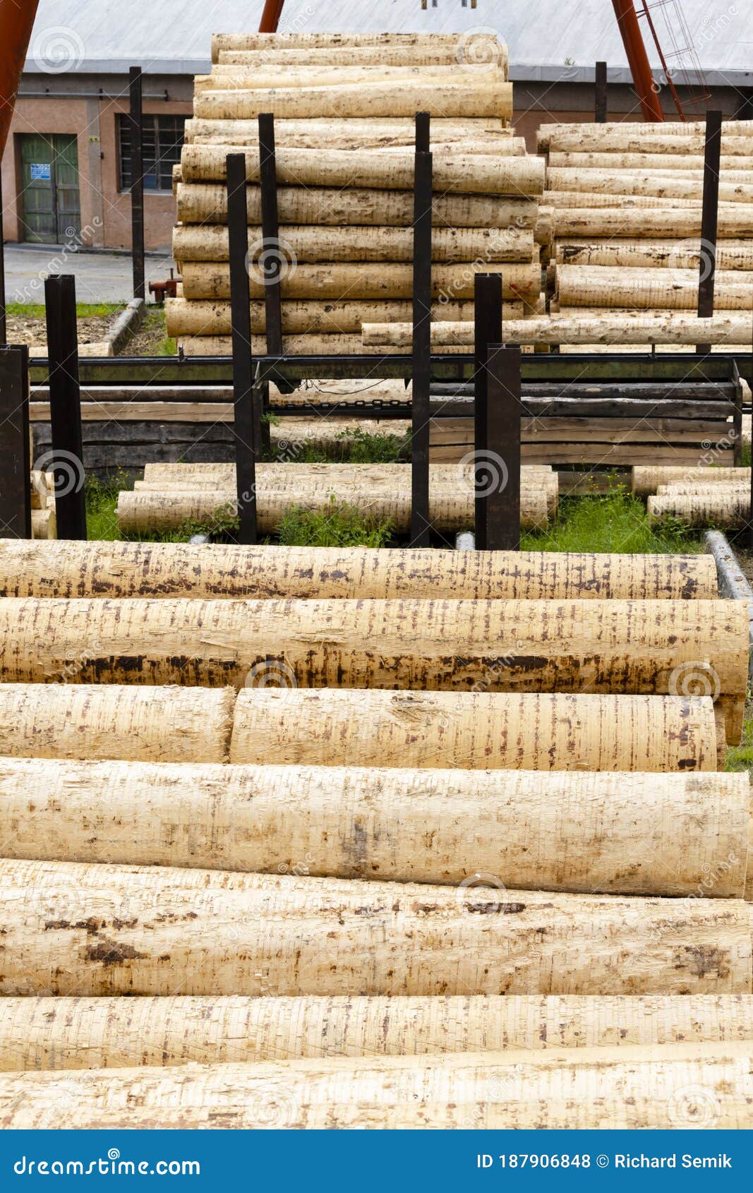 Woodworking Industry in Alps, Italy Stock Photo - Image of work, forest ...