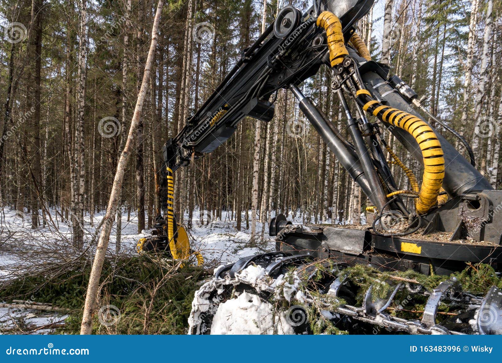 Woodworking. Logger Busy Working in Winter Forest Stock Photo - Image ...