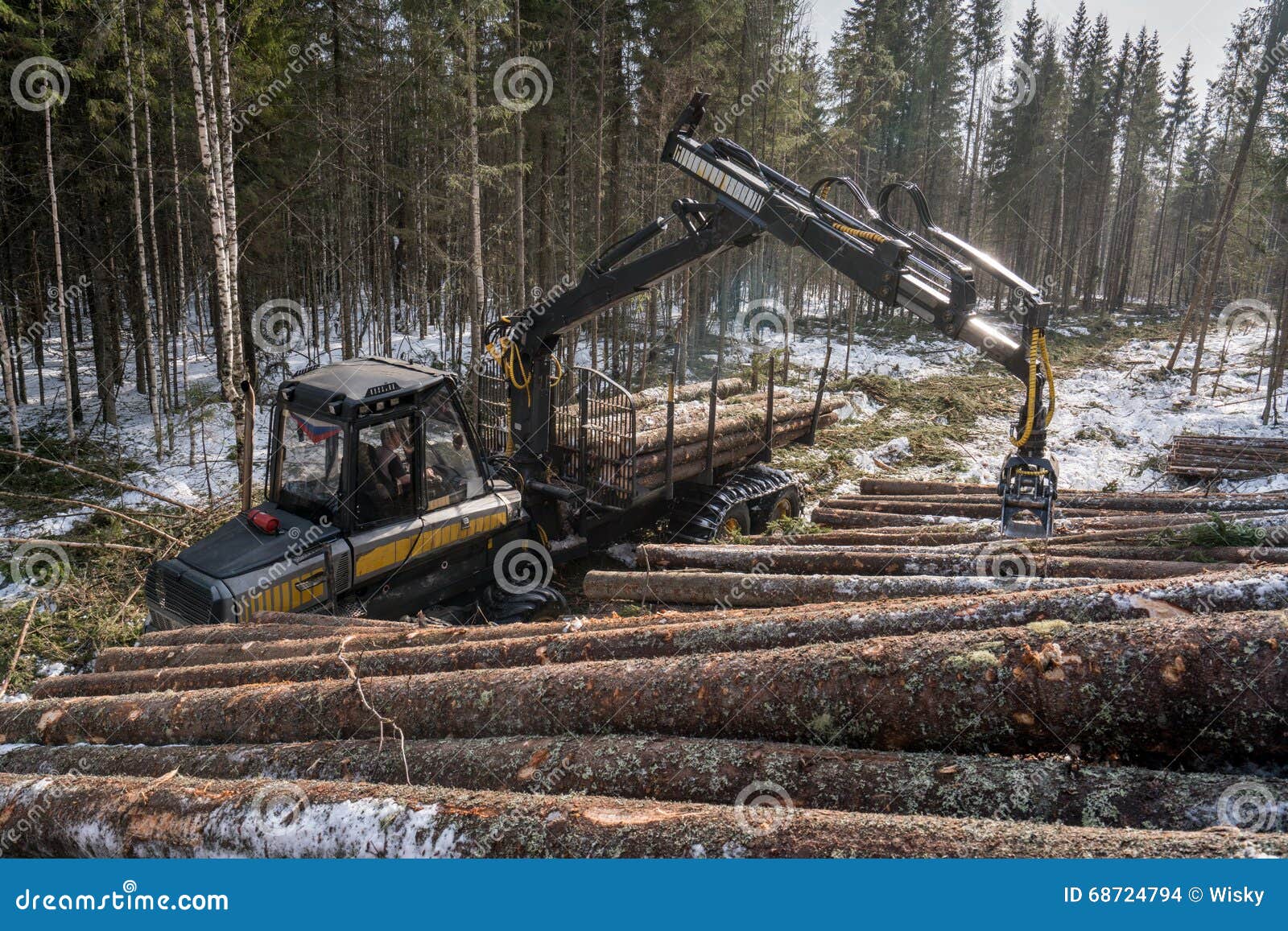 Woodworking. Logger Loads Harvested Trunks Stock Photo - Image of ...