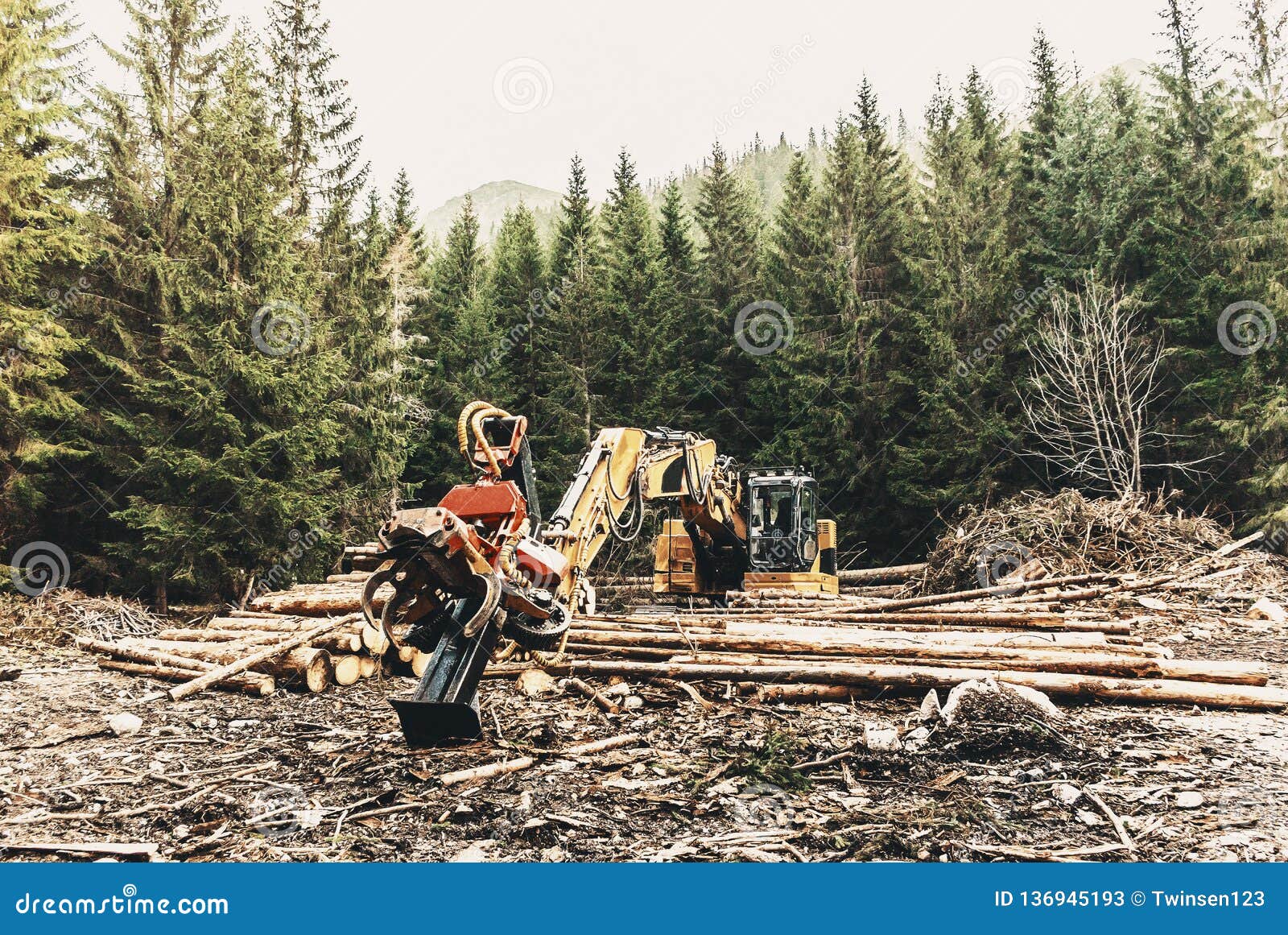 Woodworking Machine Tractor Harvester in the Forest. Primary Wood ...