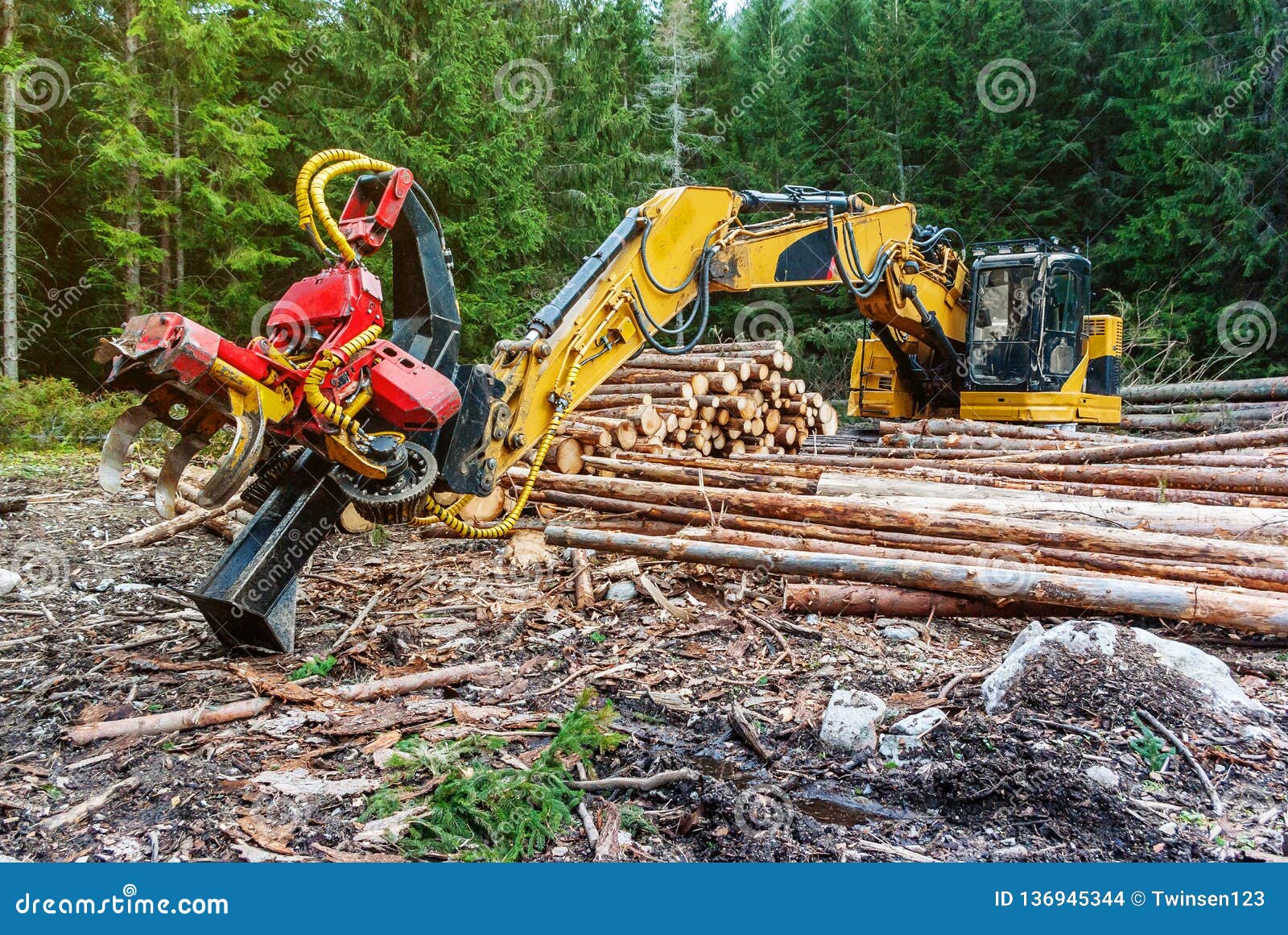 Woodworking Machine Tractor Harvester in the Forest. Primary Wood ...
