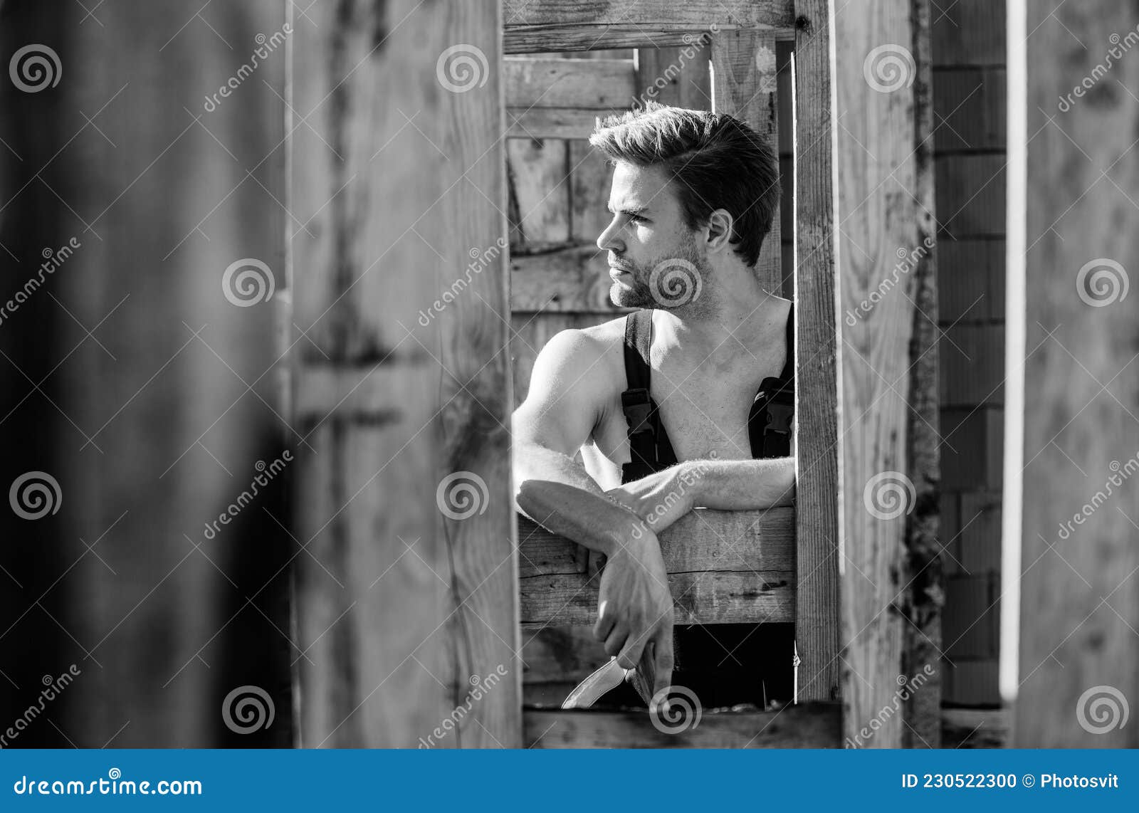 Woodworks Concept. Scaffolding And Frameworks. Handsome Builder At ...