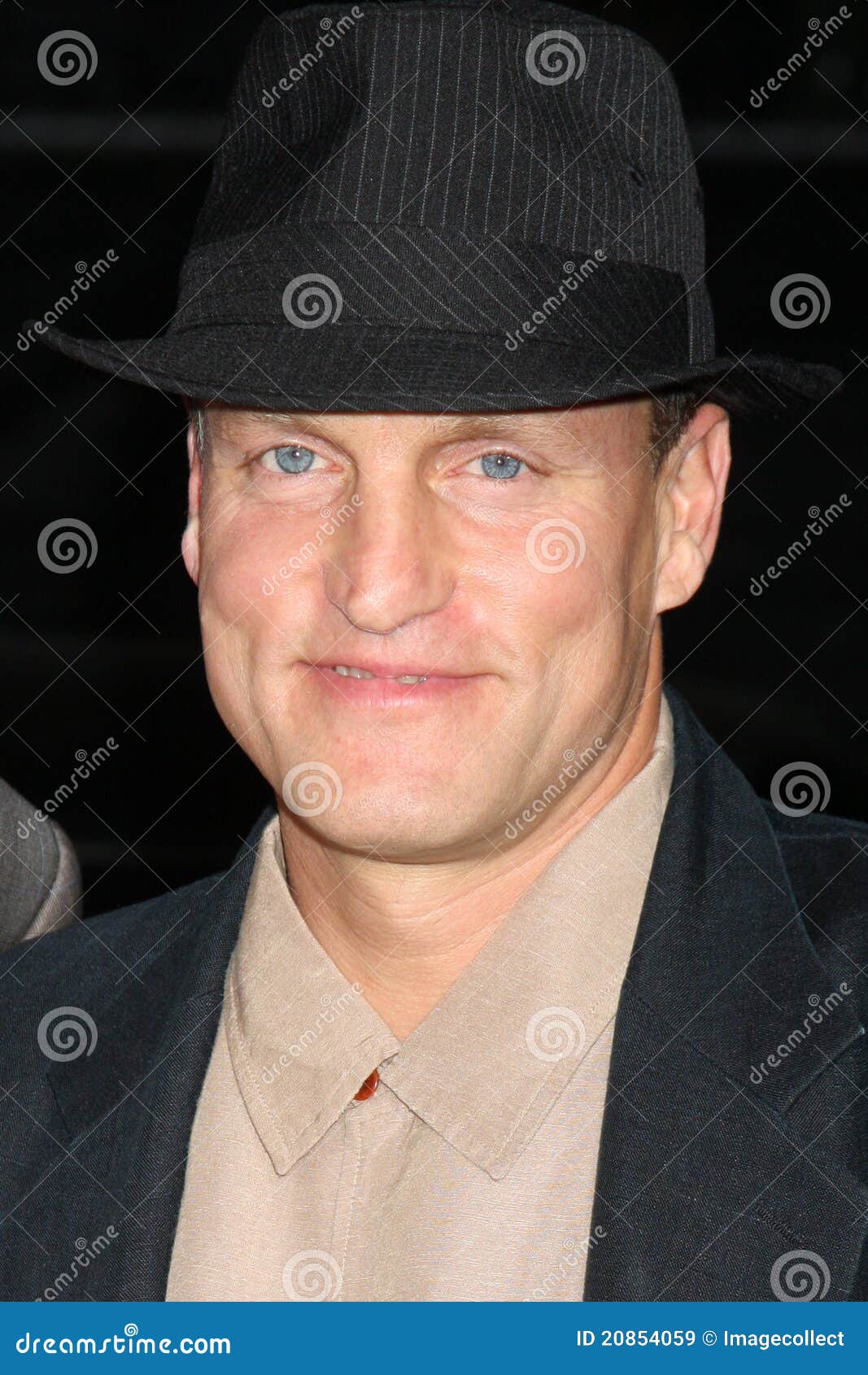 Woody Harrelson editorial stock image. Image of november - 20854059