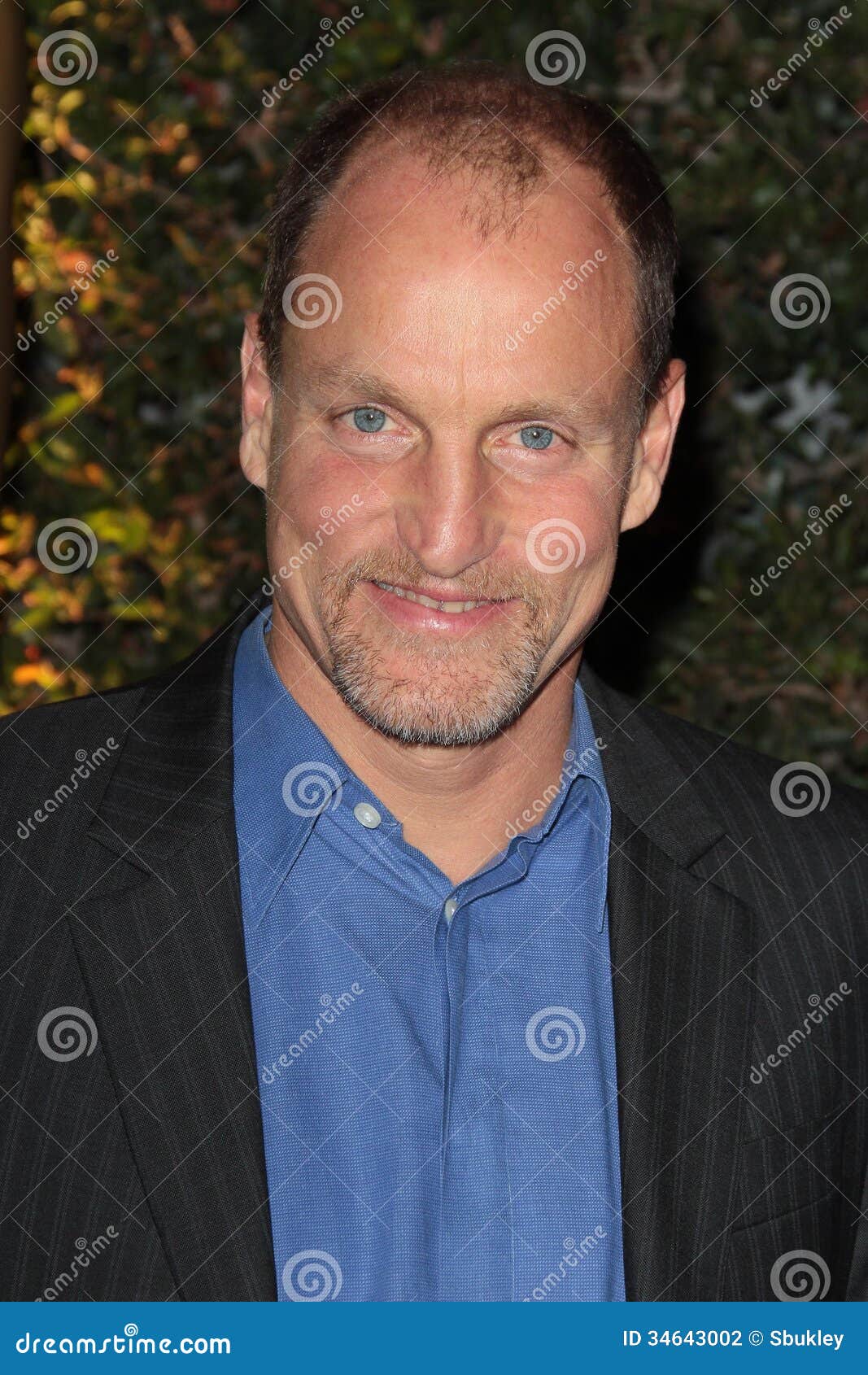 Woody Harrelson fotografia editorial. Obraz złożonej z artsier - 34643002