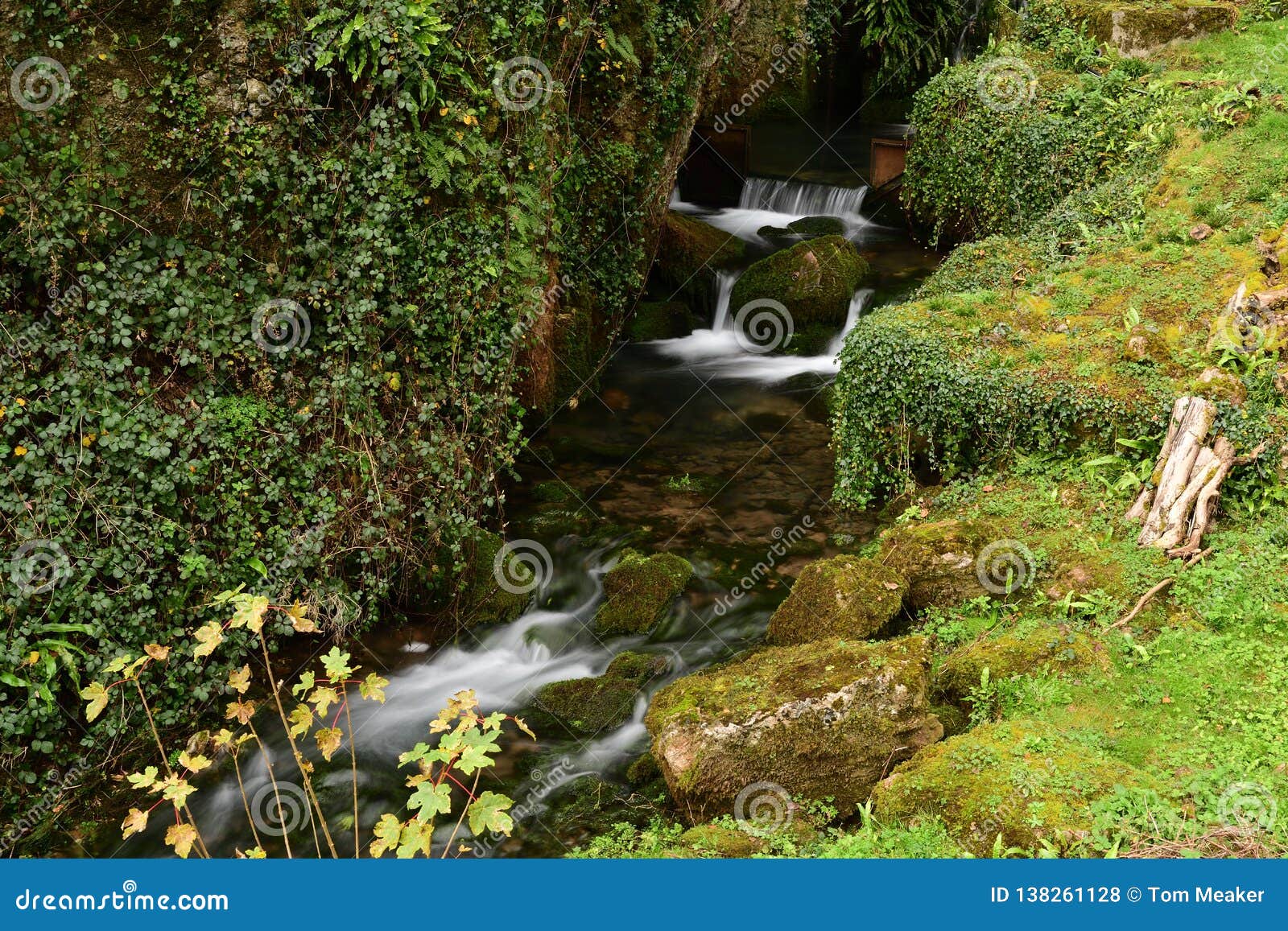 Wookey hole stock photo. Image of waterfall, fresh, detail - 138261128