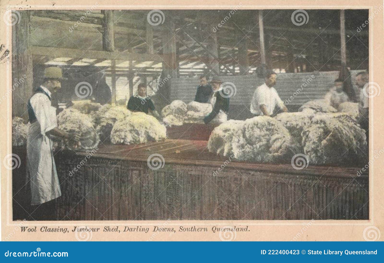 Wool Classing At Jimbour Shed On The Darling Downs, Southern Queensland ...