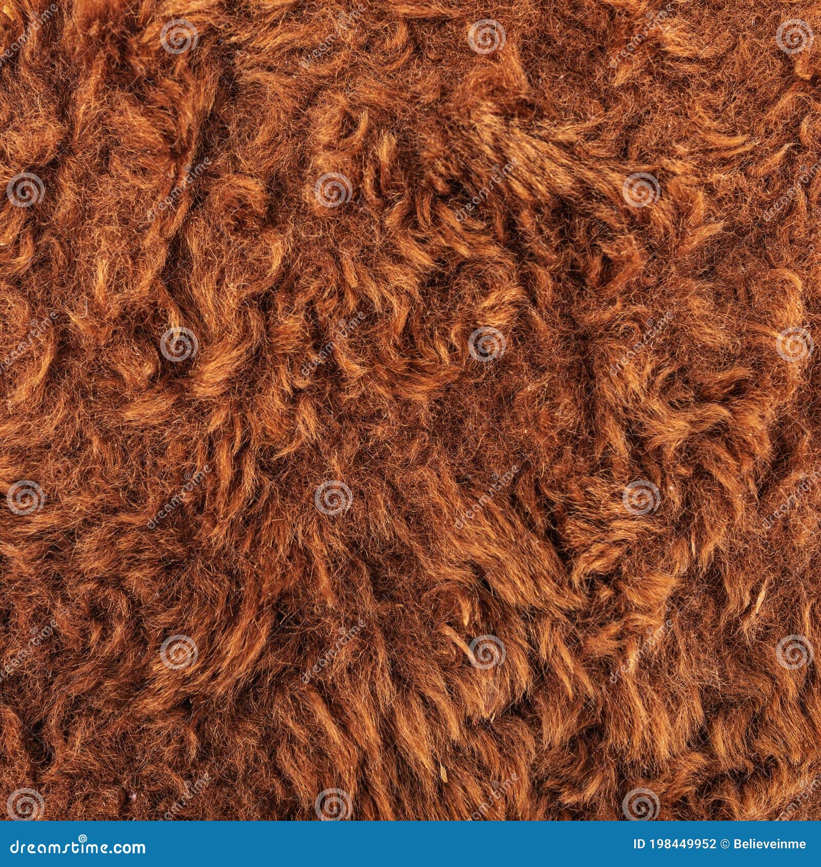 Shaggy Wool As an Abstract Background. Wool Close-up. Stock Photo ...