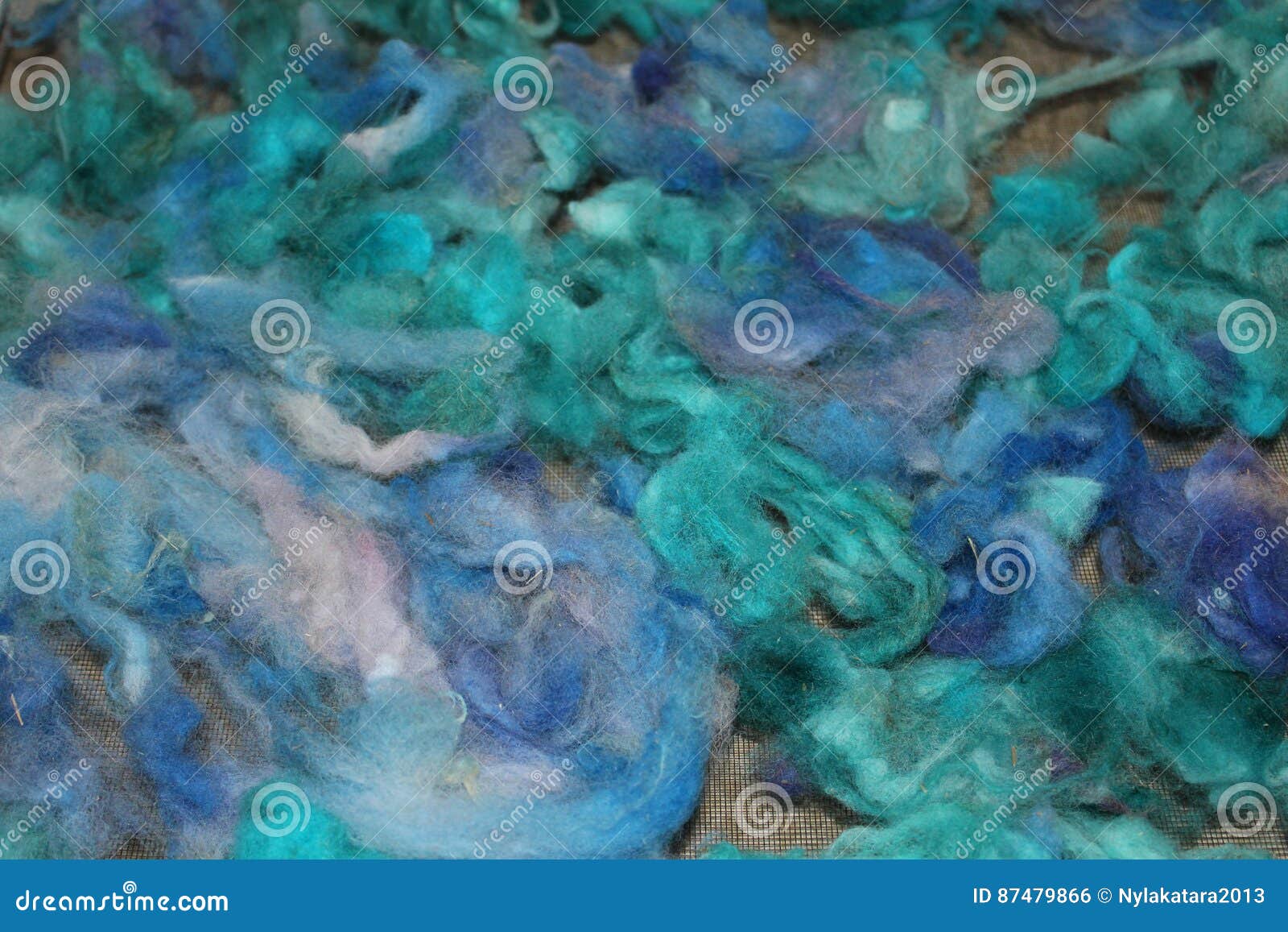 Wool drying stock photo. Image of cleansed, lanolin, drying - 87479866