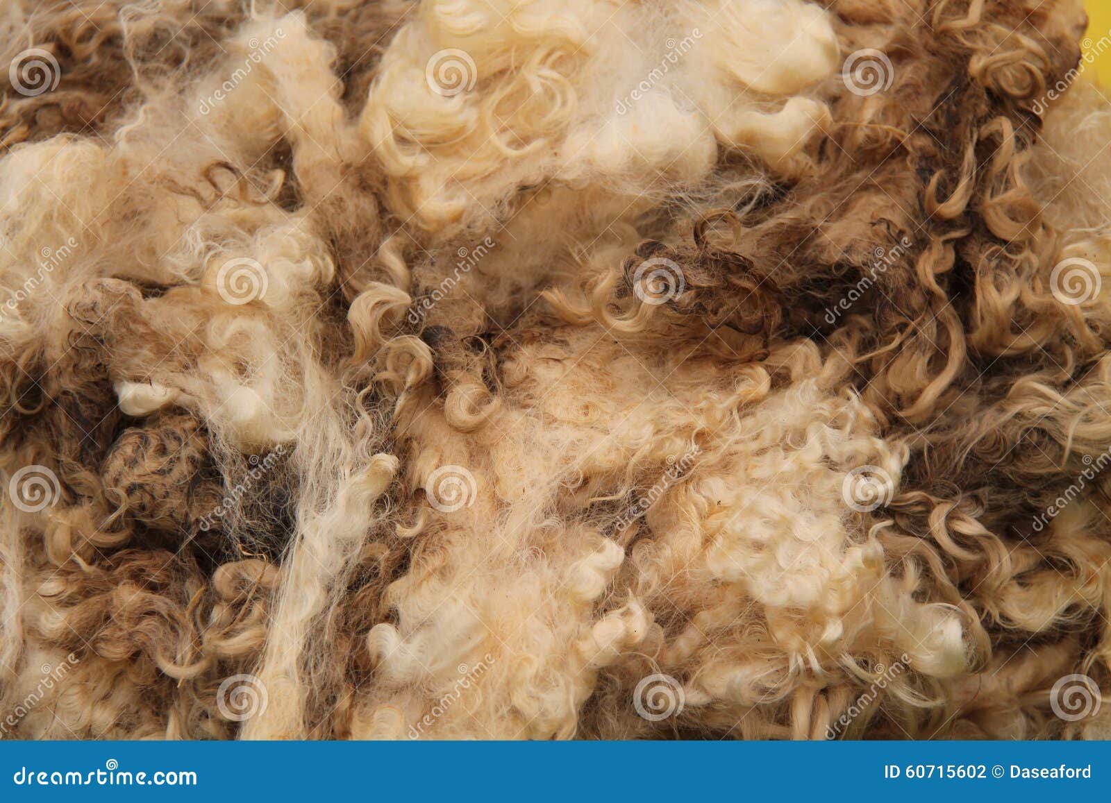 Wool Fleece. stock photo. Image of fabric, fibre, softness - 60715602