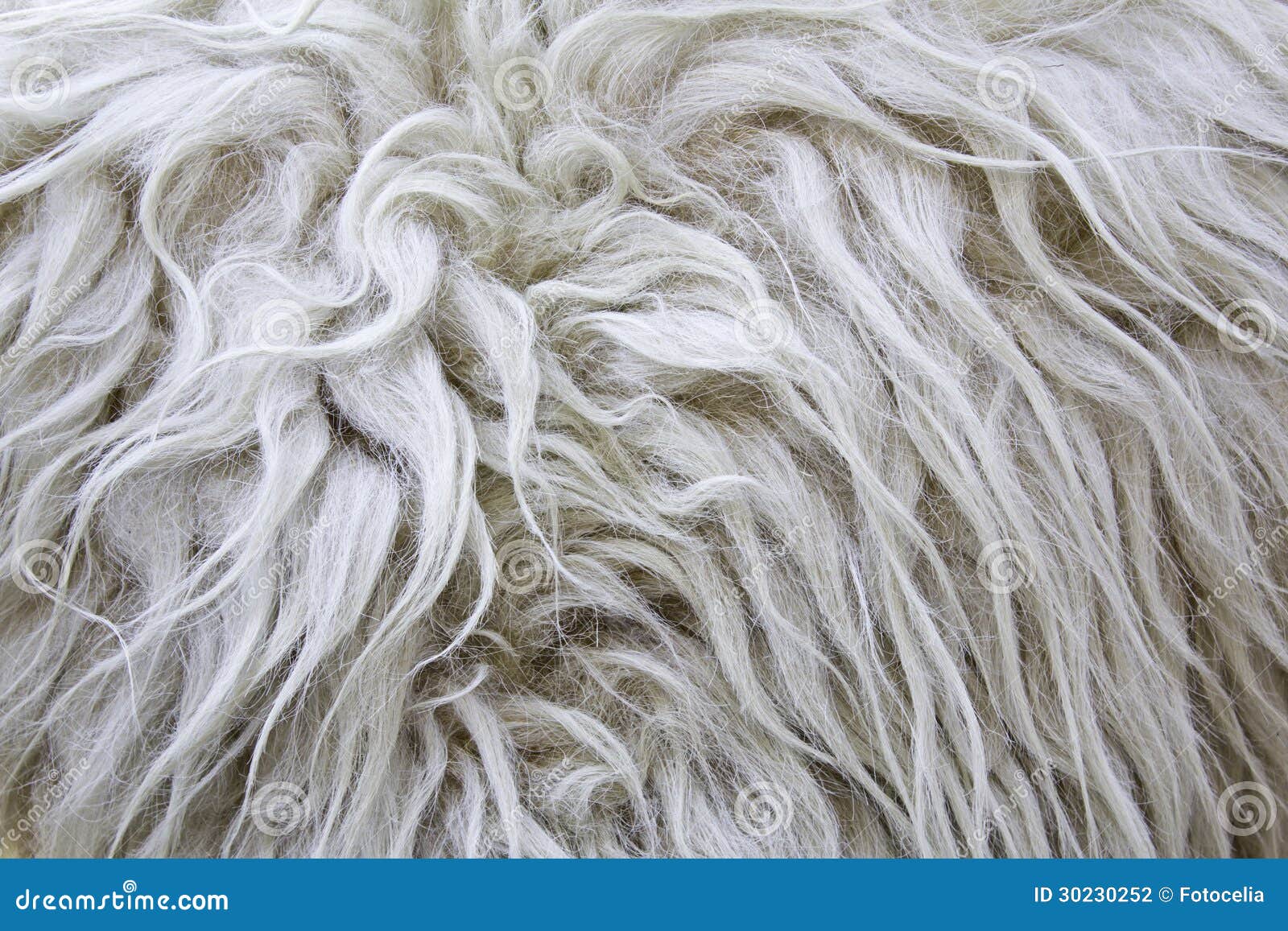 Wool Skin stock photo. Image of textile, detail, skin - 30230252