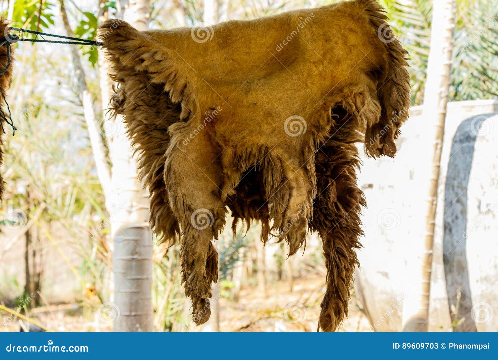 Wool Rail Nature Background Stock Photos - Free & Royalty-Free Stock ...