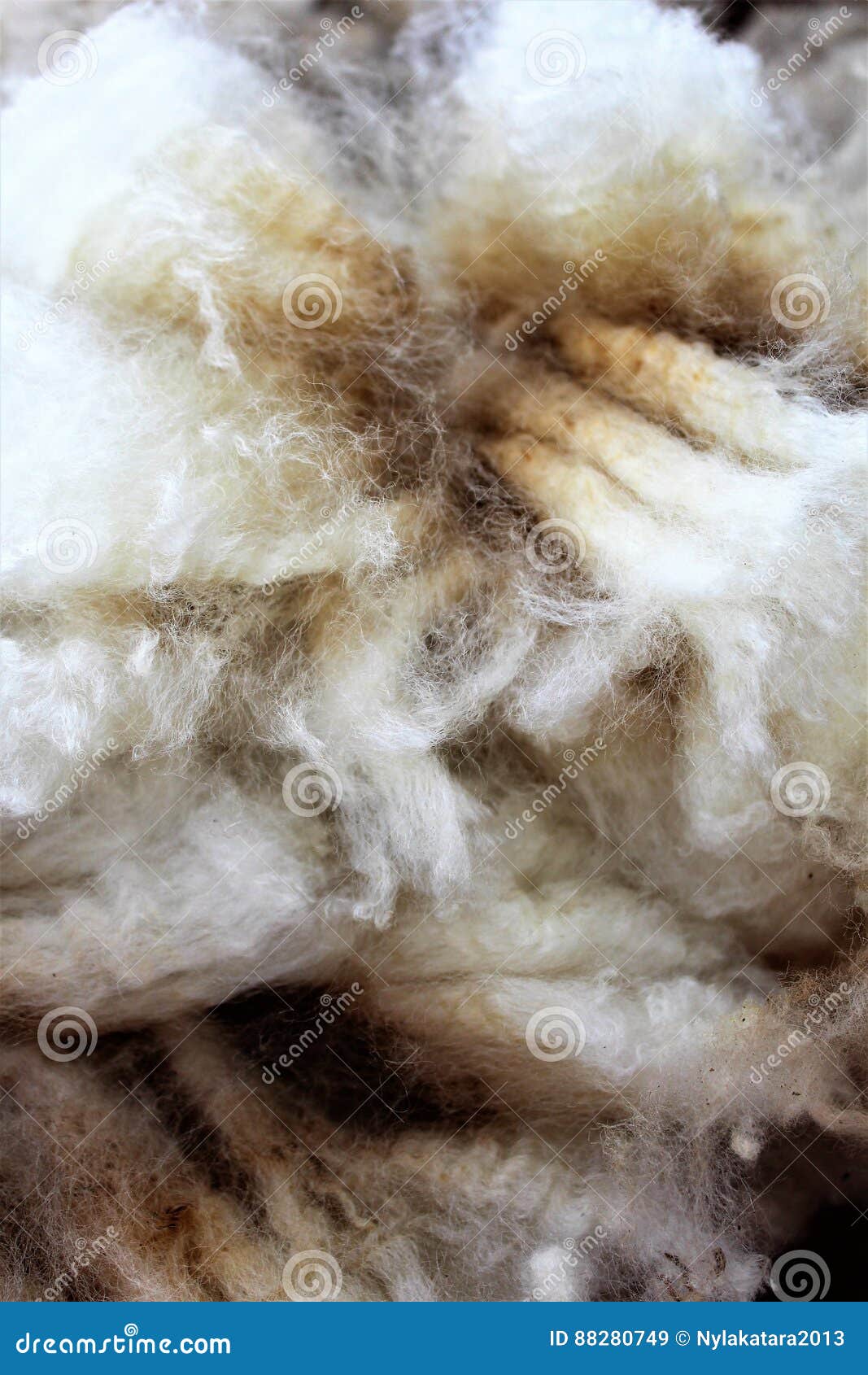 Wool sheared stock image. Image of trim, natural, grass - 88280749