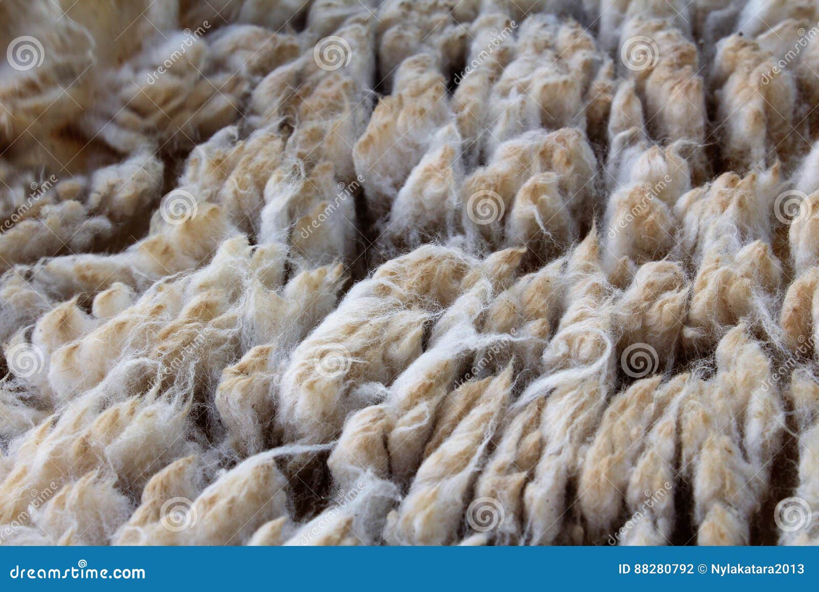 Wool sheared stock photo. Image of crafty, washed, weave - 88280792