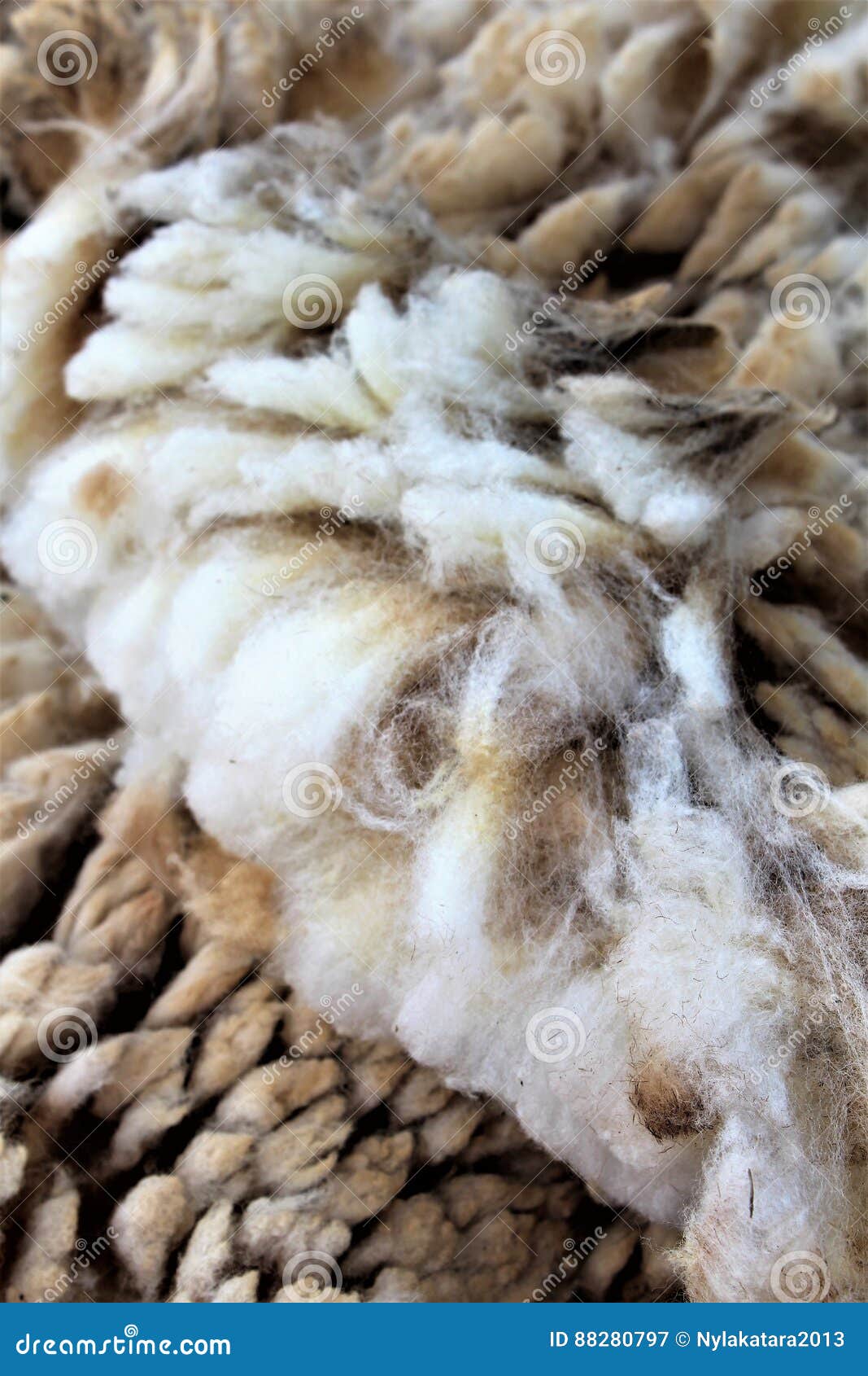 Wool sheared stock image. Image of grass, crafts, shepherd - 88280797