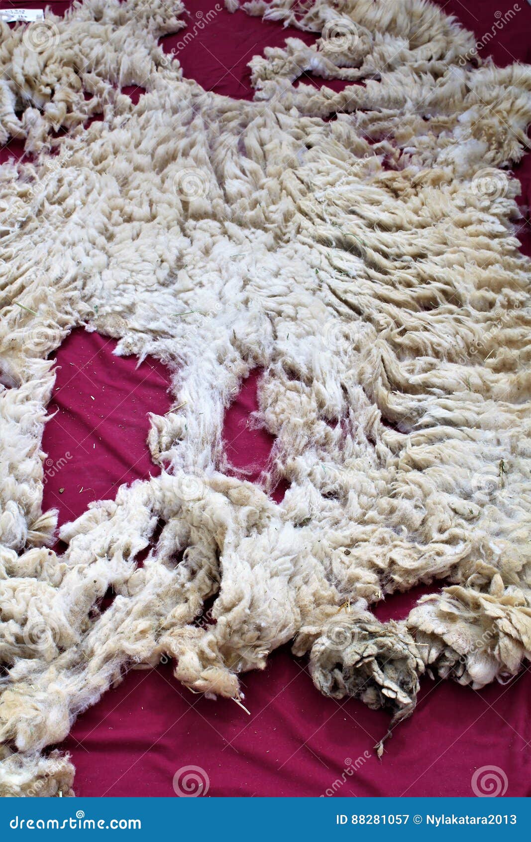 Wool sheared stock image. Image of pure, crafts, macro - 88281057