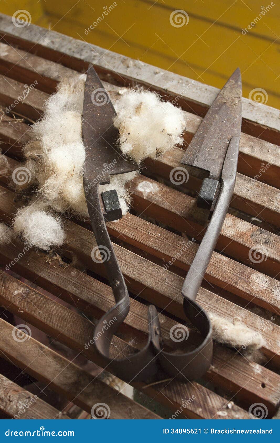 1,005 Wool Shed Photos - Free & Royalty-Free Stock Photos from Dreamstime