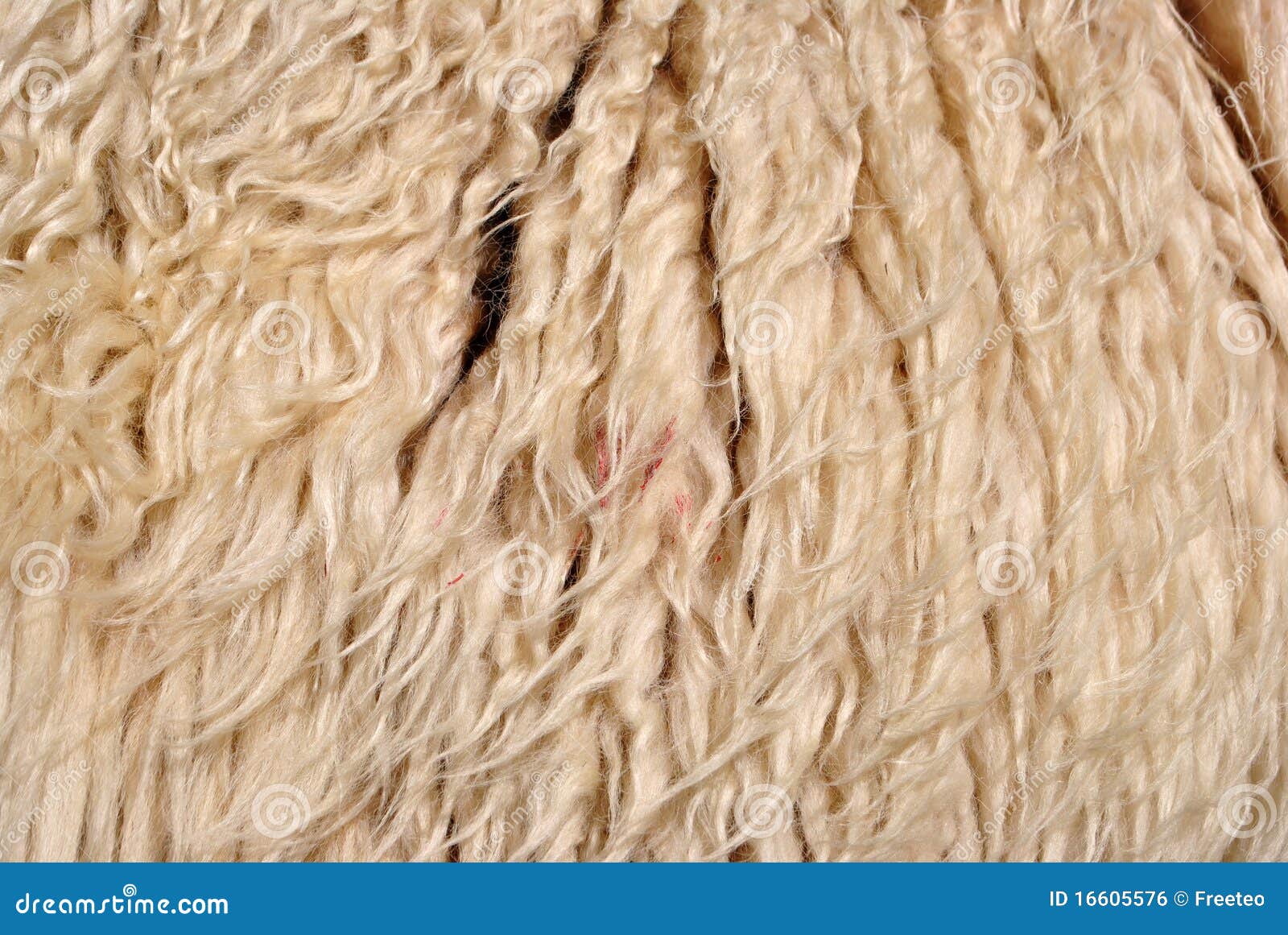 Wool Sheep Farm, Rural Cute Animals Royalty-Free Stock Image ...