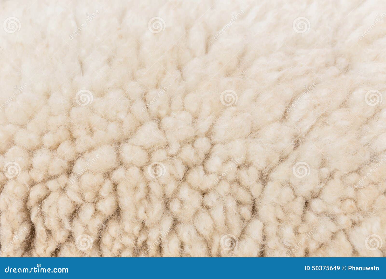 Wool Sheep Farm, Rural Cute Animals Royalty-Free Stock Image ...