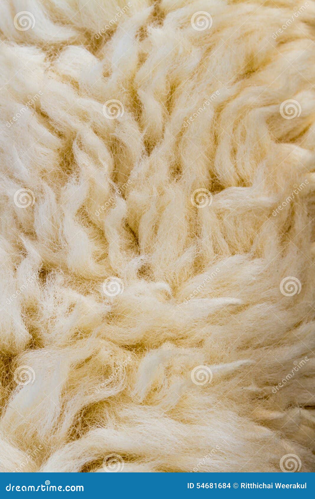 Wool Sheep Closeup for Background Stock Photo - Image of horizontal ...