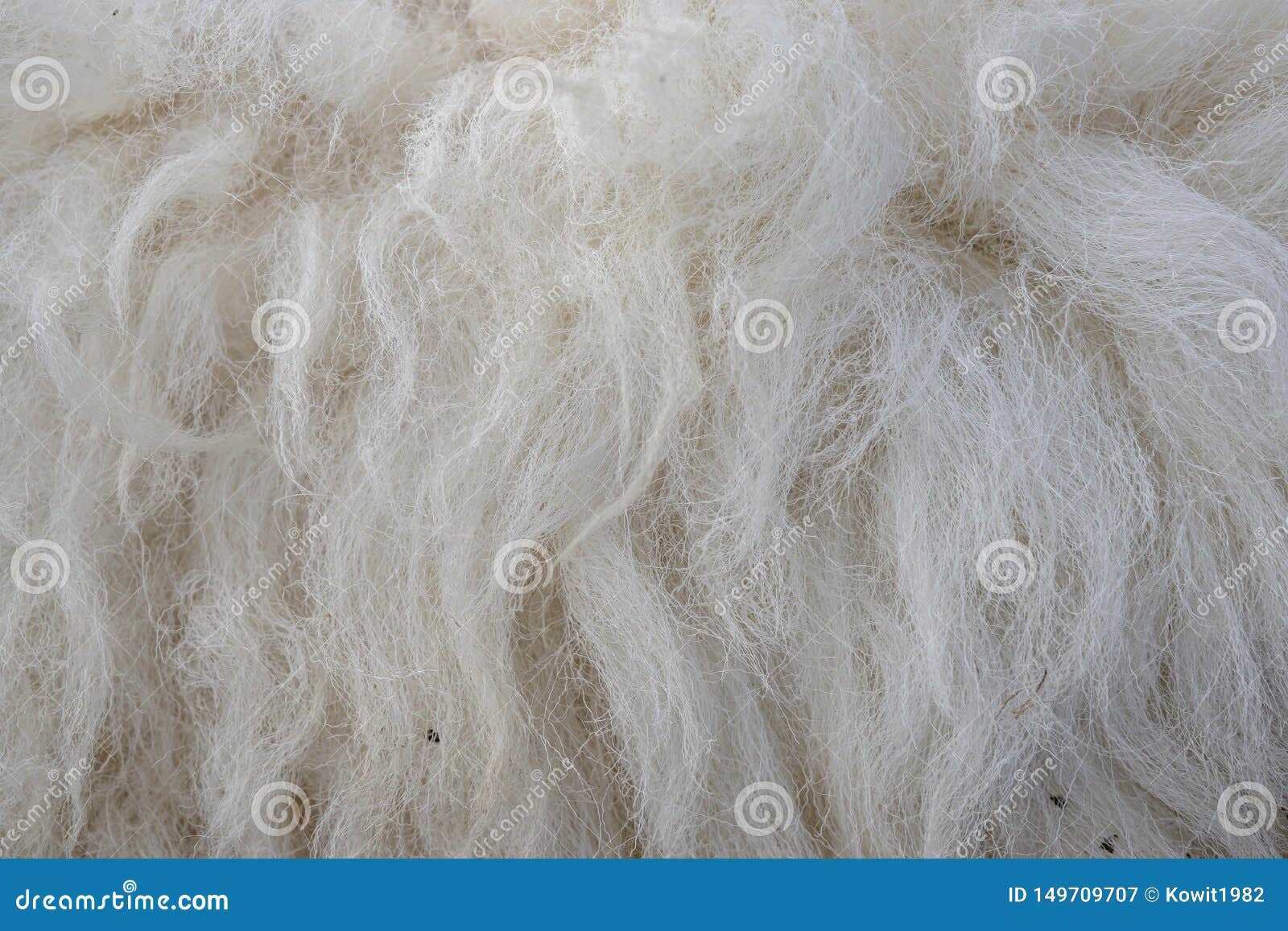 Wool Sheep Closeup for Background Stock Image - Image of fashion, hairy ...