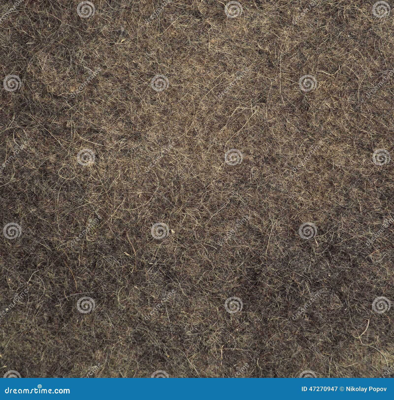 Wool texture. stock image. Image of fiber, fashion, wool - 47270947