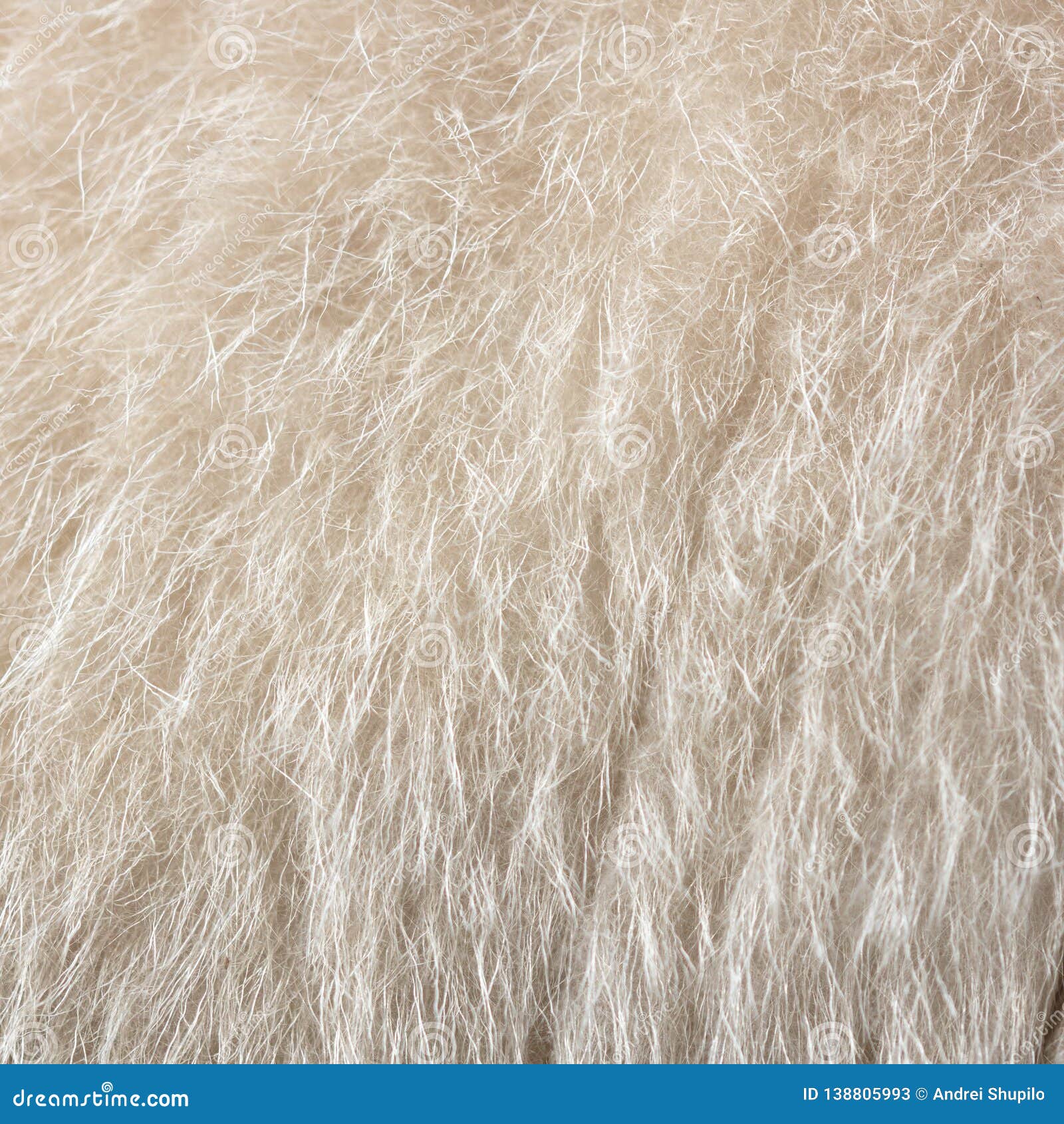 Wool of a White Goat As an Abstract Background Stock Image - Image of ...