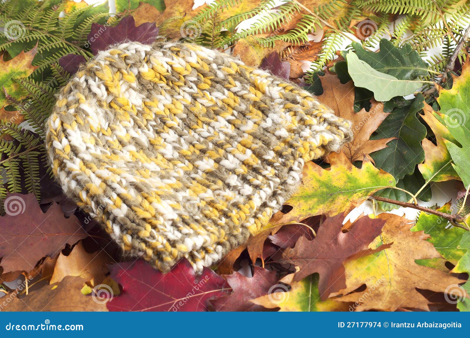 Woolen Cap on Autumn Leaves Stock Photo - Image of leaf, brown: 27177974