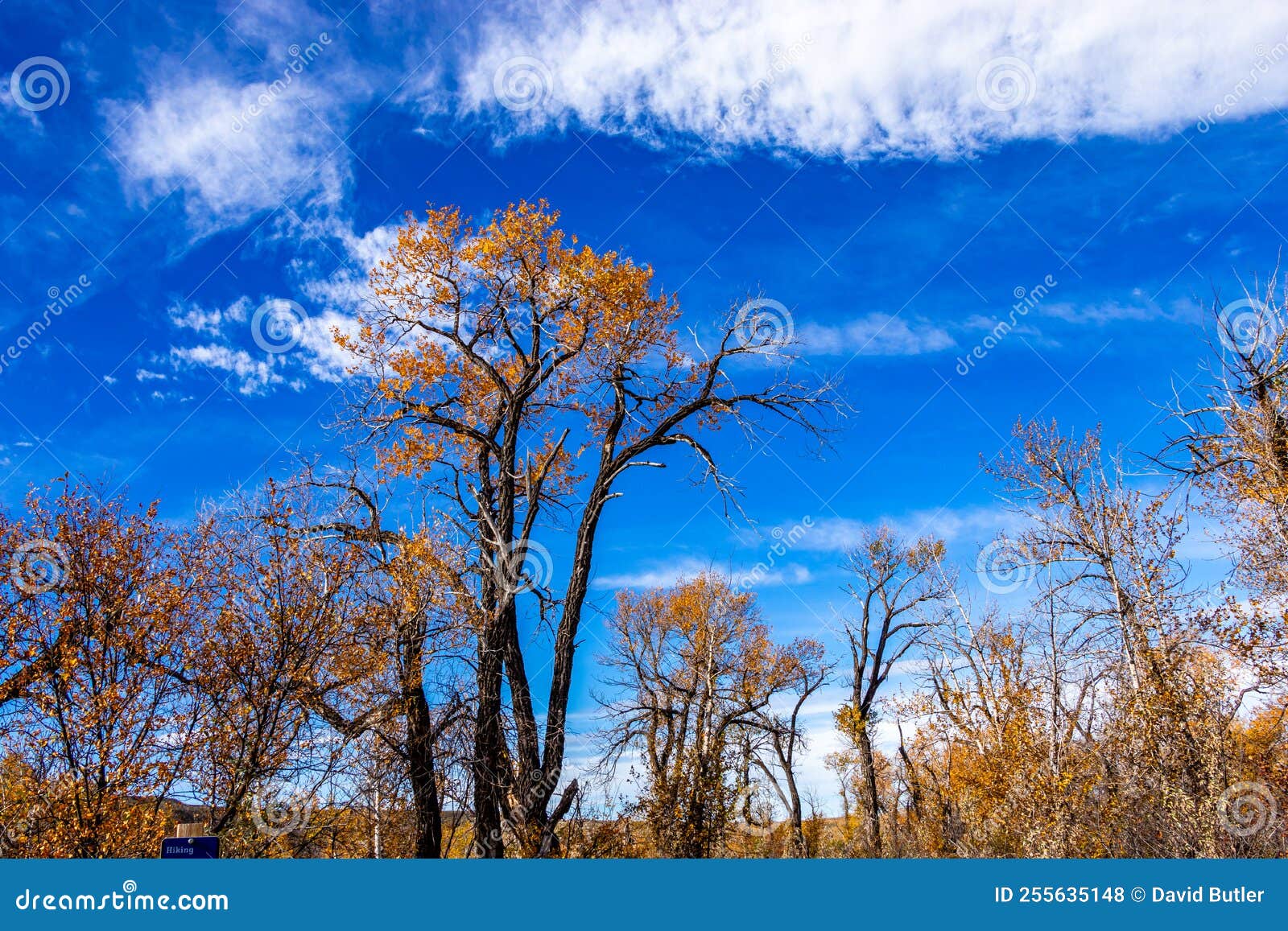 Woolford Provincial Park Cardston County Alberta Canada Stock Photo ...