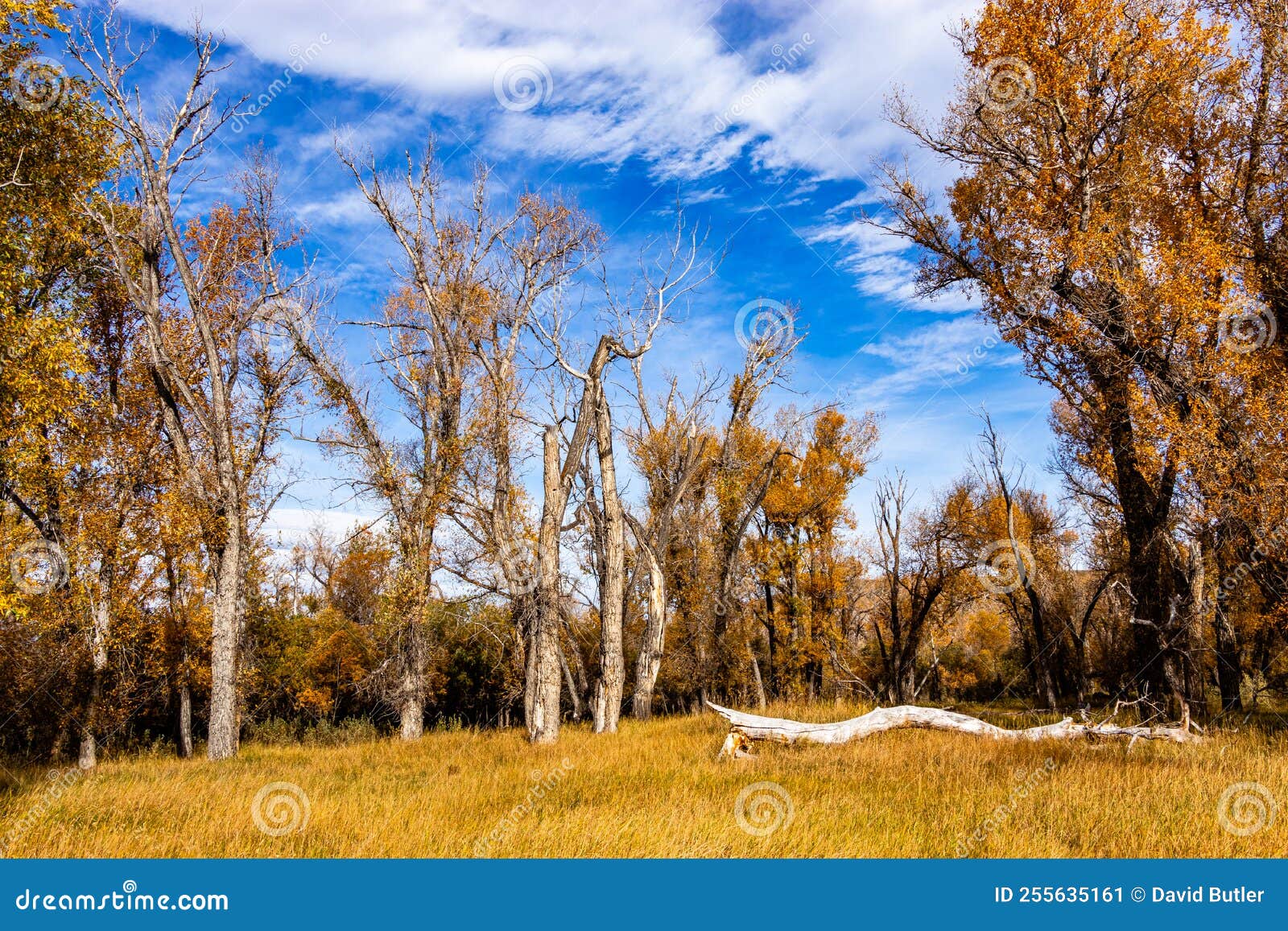 Woolford Provincial Park Cardston County Alberta Canada Stock Image ...
