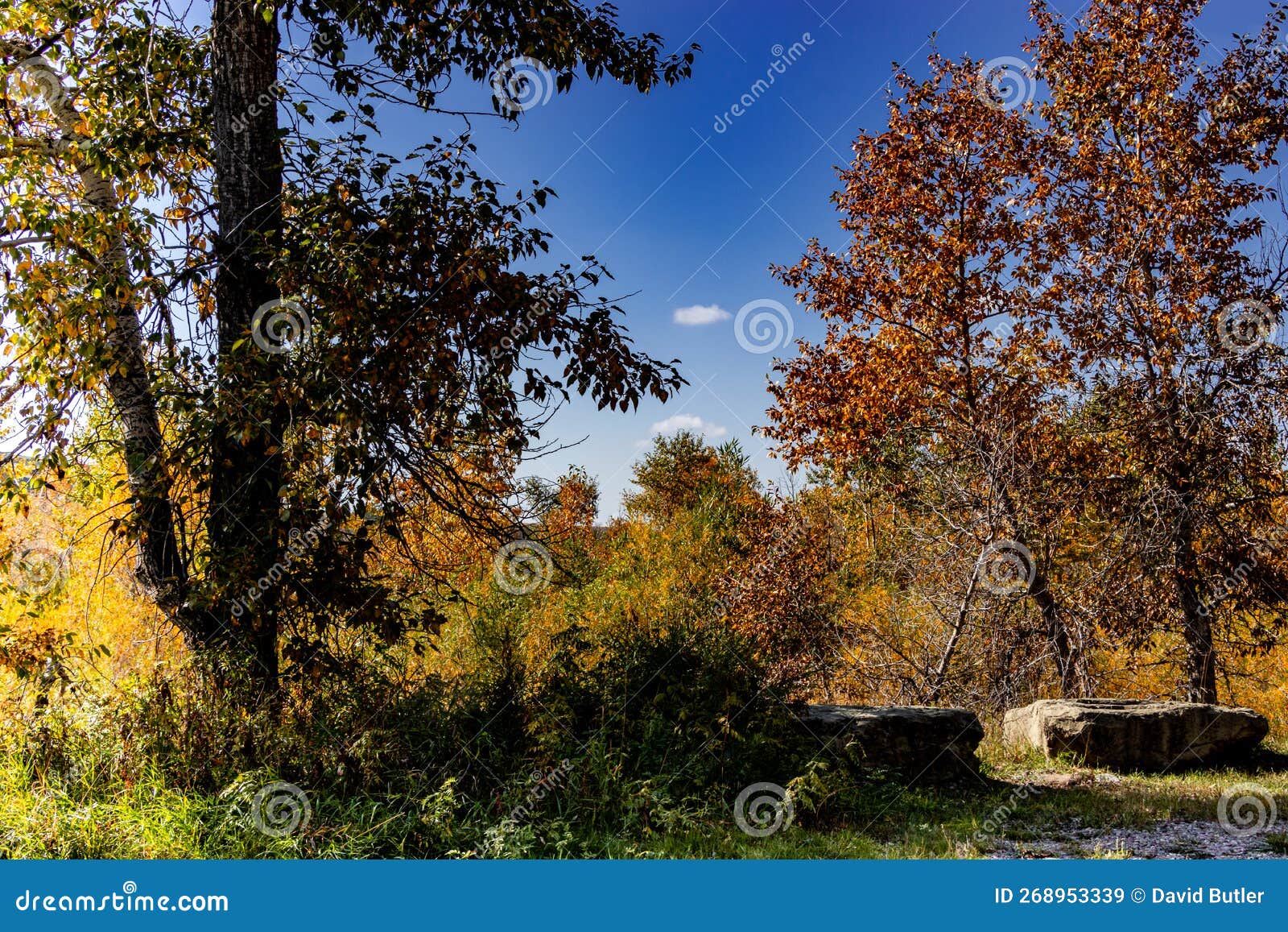 Woolford Provincial Park Cardston County Alberta Canada Stock Image ...