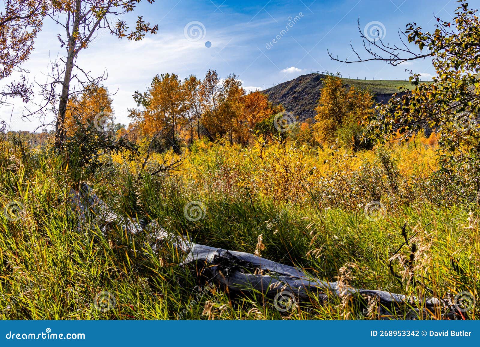 Woolford Provincial Park Cardston County Alberta Canada Stock Photo ...