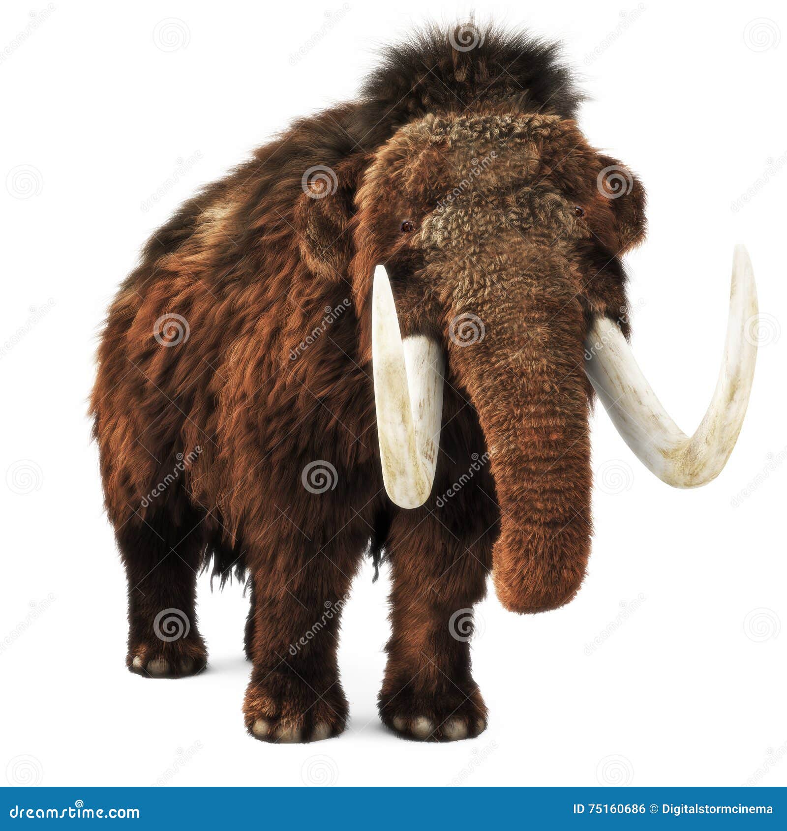 Woolly Mammoth, Prehistoric Mammal Front View Isolated With Shadow On ...