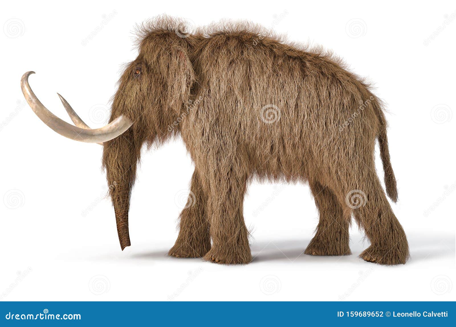 Woolly Mammoth Realistic 3d Illustration Viewed from a Side Stock ...