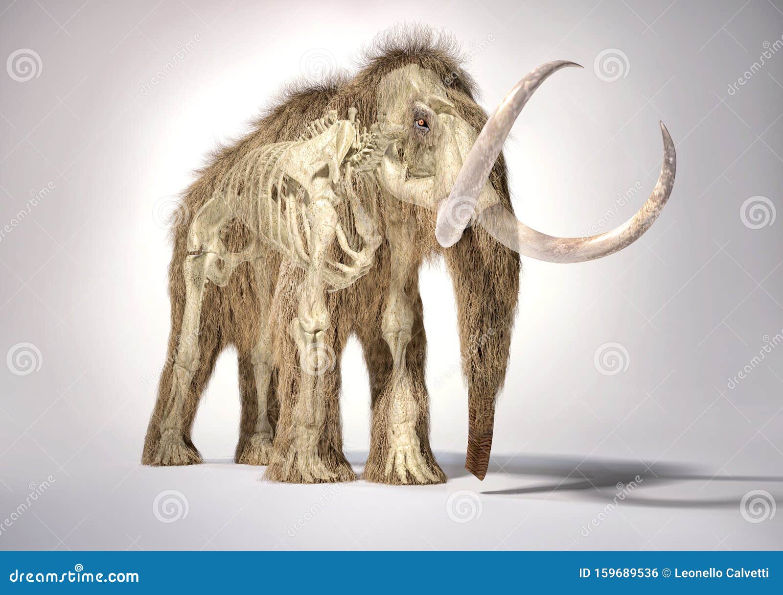 Woolly Mammoth with Skeleton in Ghost Effect, Front Perspective View ...