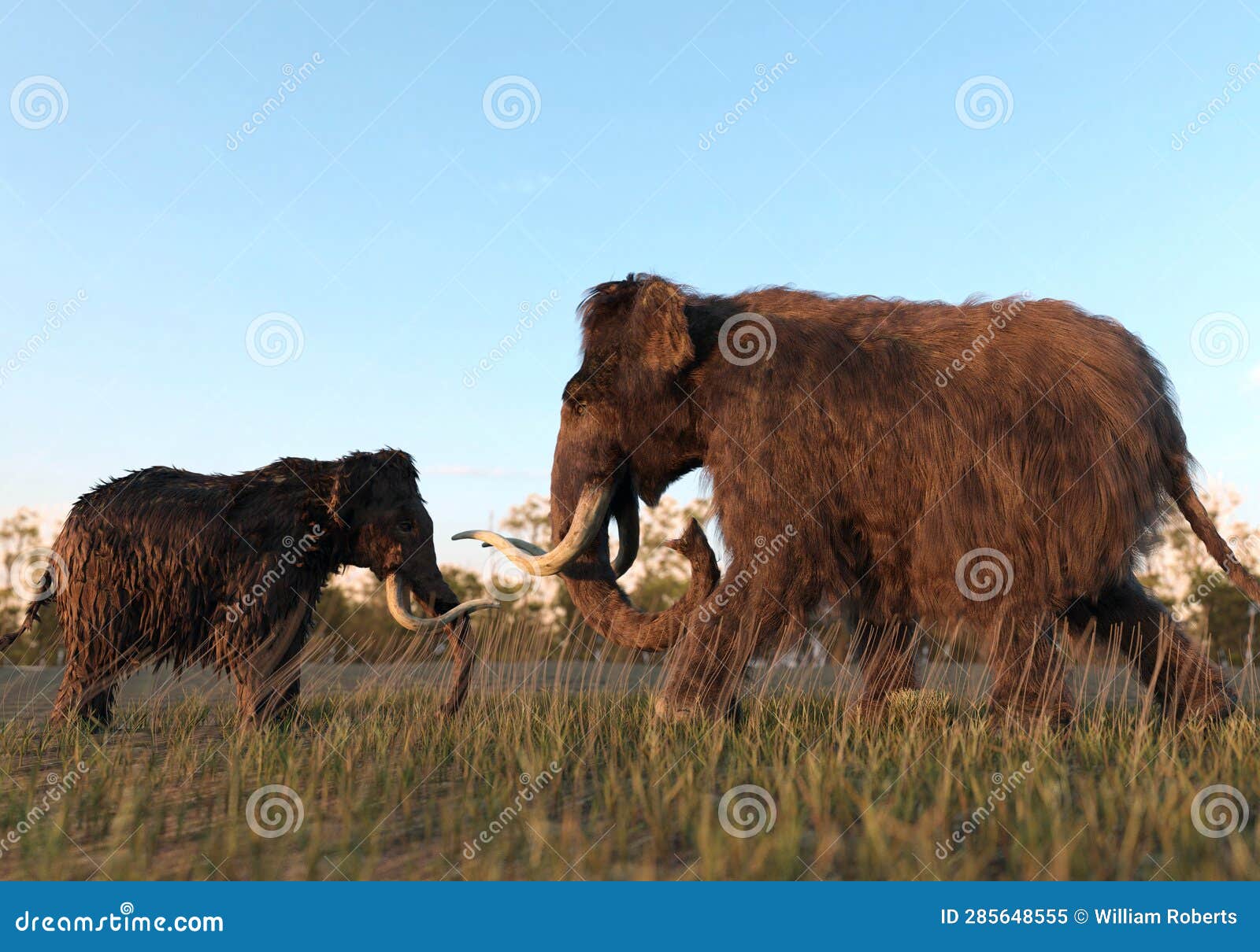 Columbian Mammoths Royalty-Free Stock Image | CartoonDealer.com #252602440