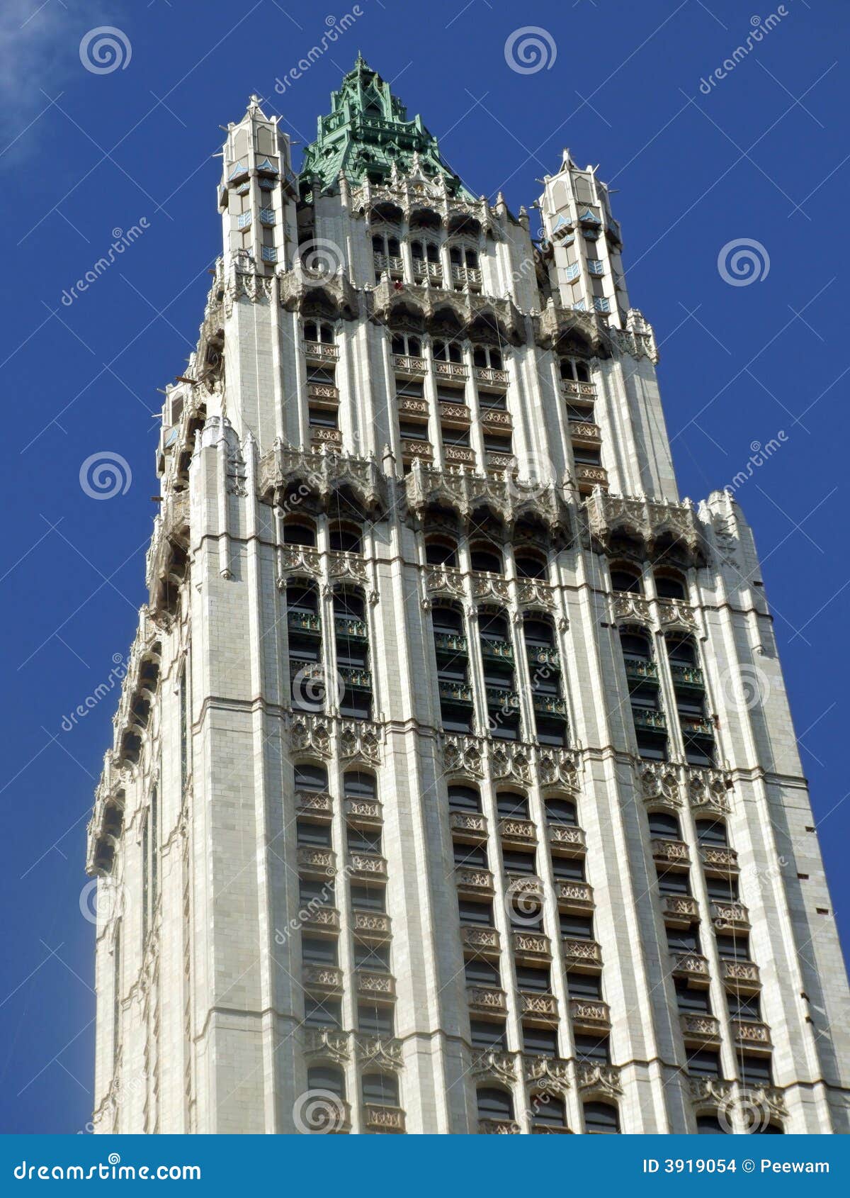 Woolworth Building stock photo. Image of building, cityscape - 3919054