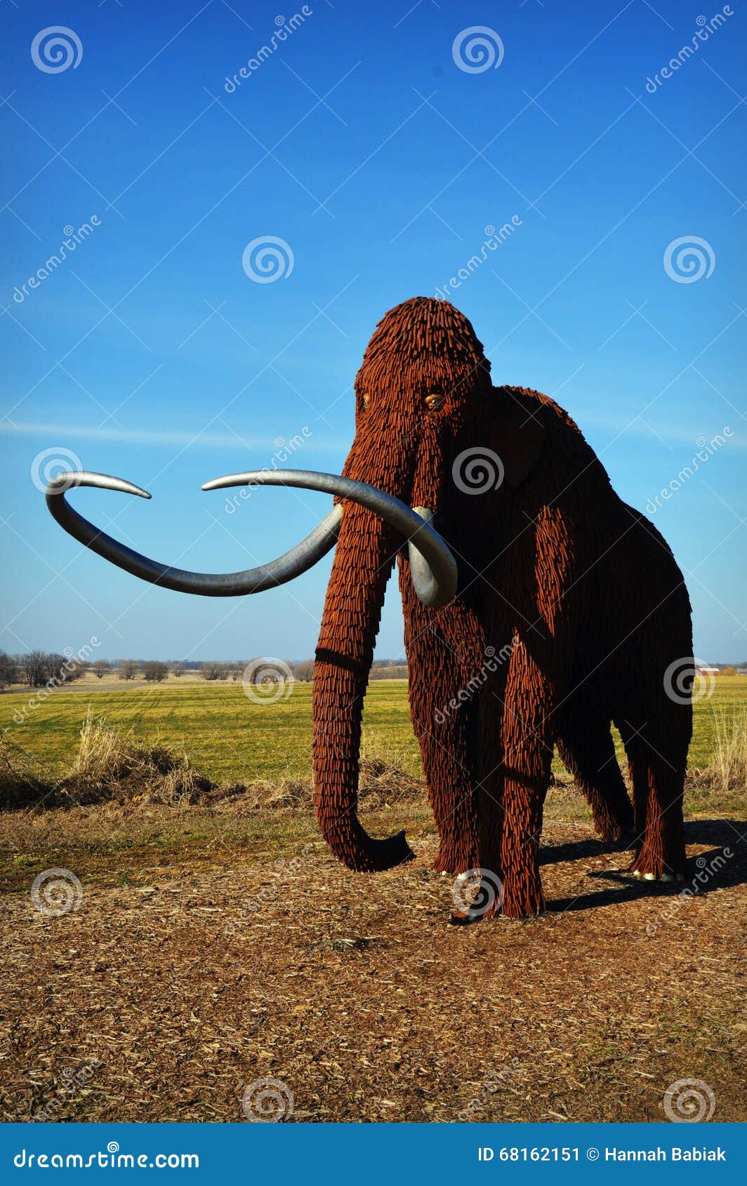 Wooly Mammoth stock image. Image of gigantic, mammal - 68162151