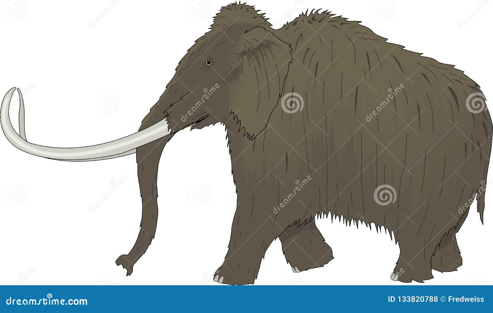 Wooly Mammoth Illustration stock vector. Illustration of elephant ...