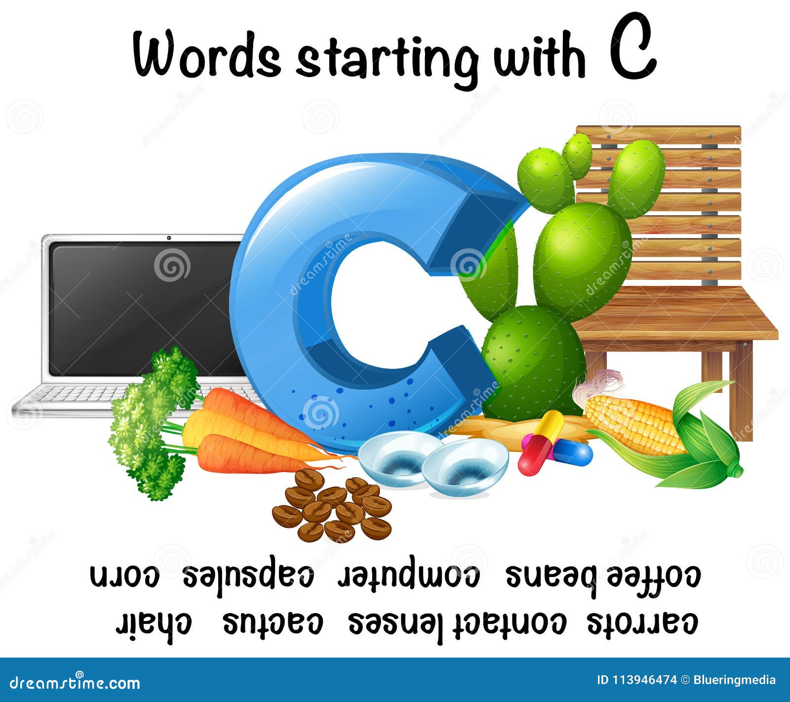 Woorden Die Met Brief C Beginnen Vector Illustratie - Illustration of ...