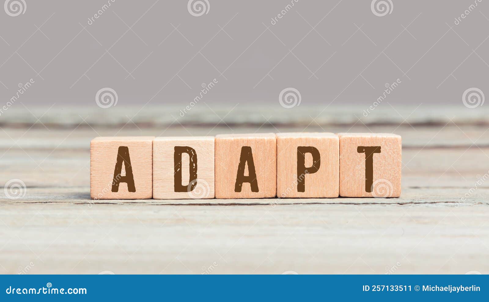 Word Adapt on wood cubes stock image. Image of word - 257133511