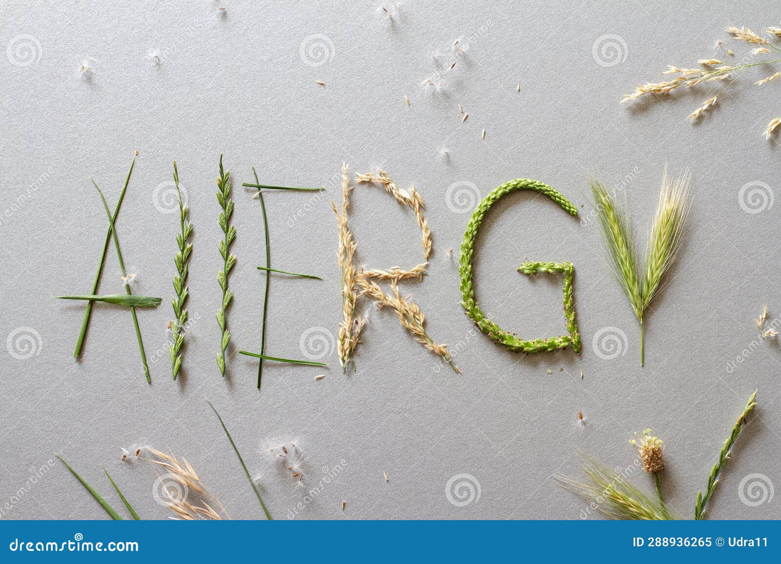 Word "allergy" Made of Different Grasses, Pollen and Grass Allergy ...