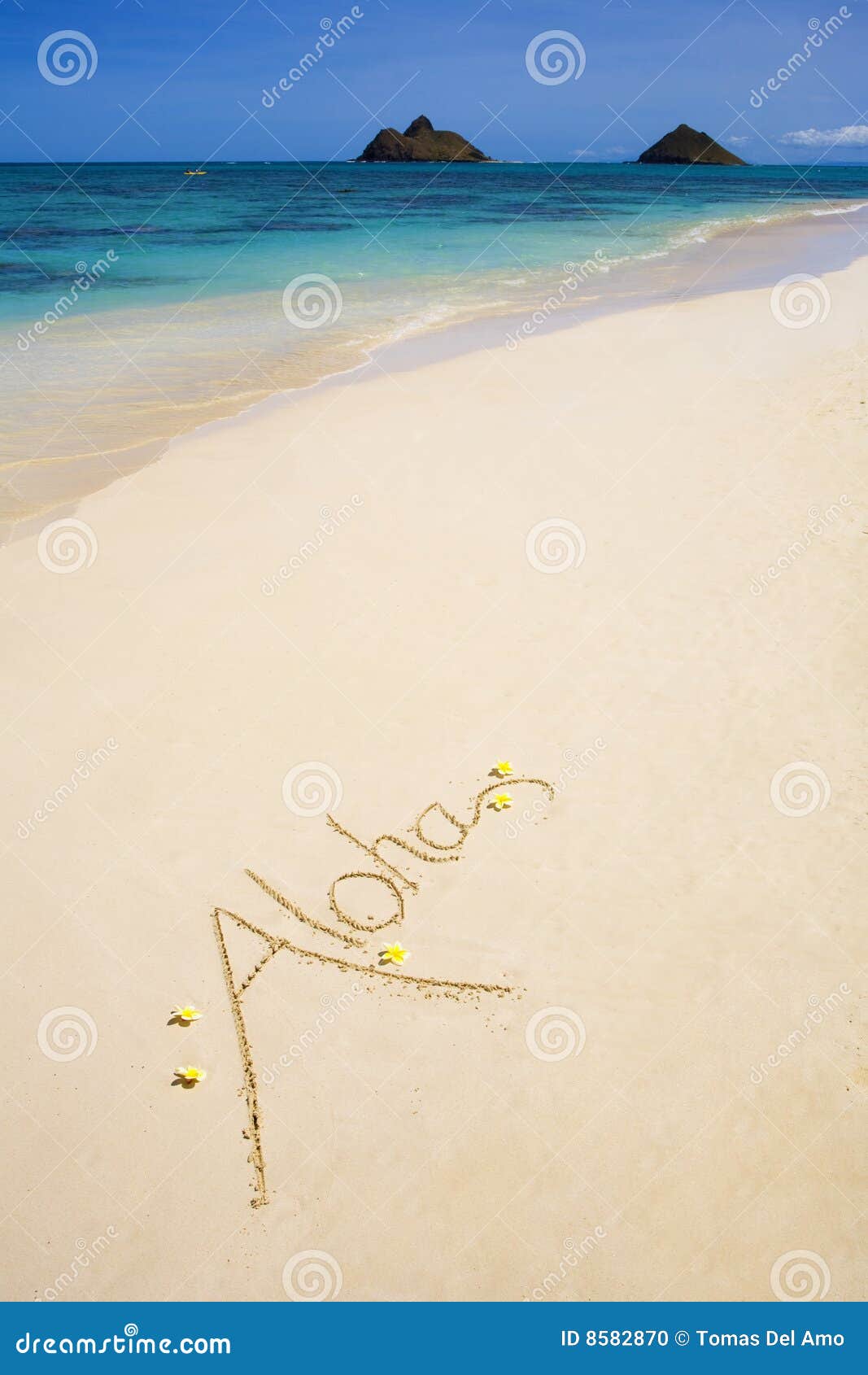 The Word Aloha is Written on Sand Stock Photo - Image of hawaii, oahu ...