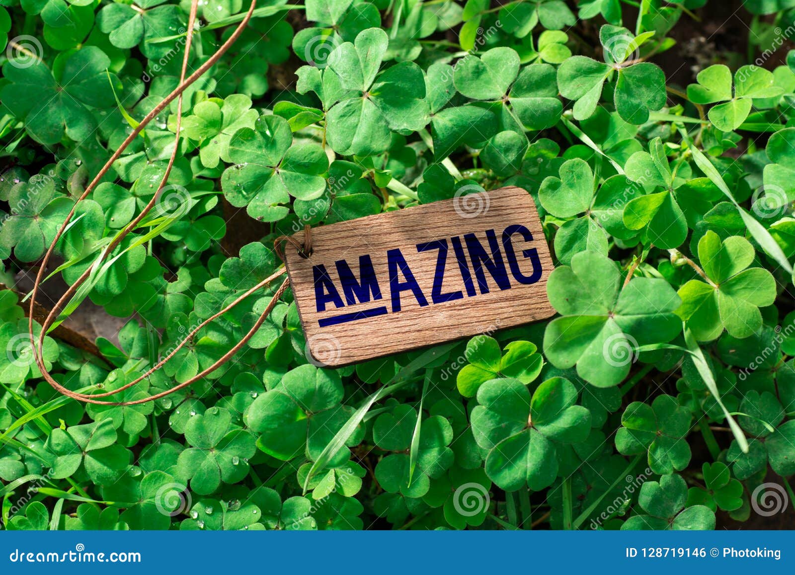 The Word Amazing Wooden Tag Stock Photo - Image of banner, natural ...