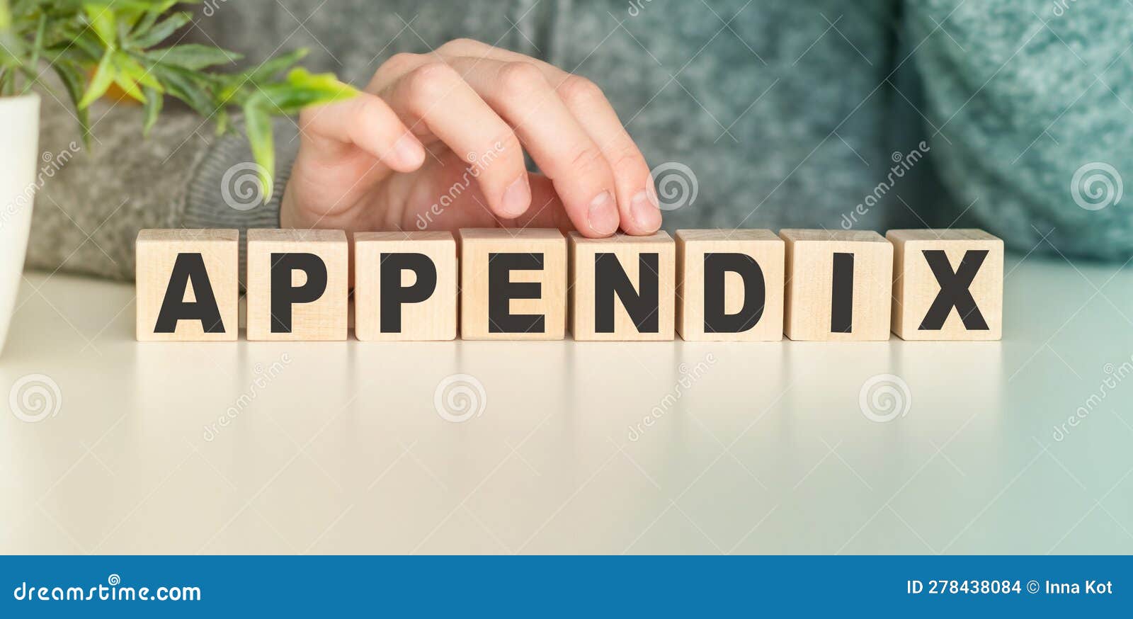 Word APPENDIX Made with Wood Building Blocks Stock Photo - Image of ...