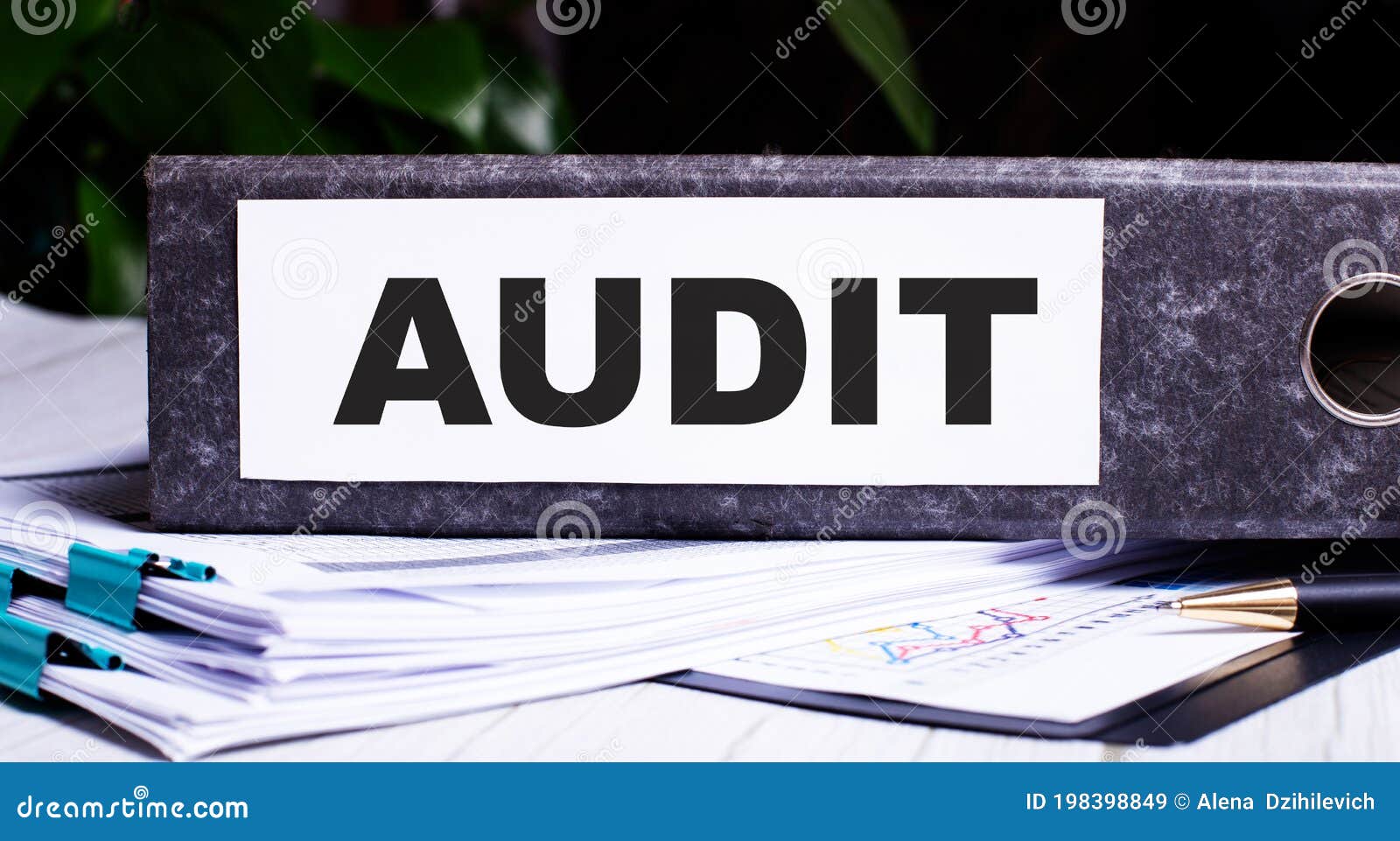 The Word Audit is Written on a Folder for Papers. Business Concept ...