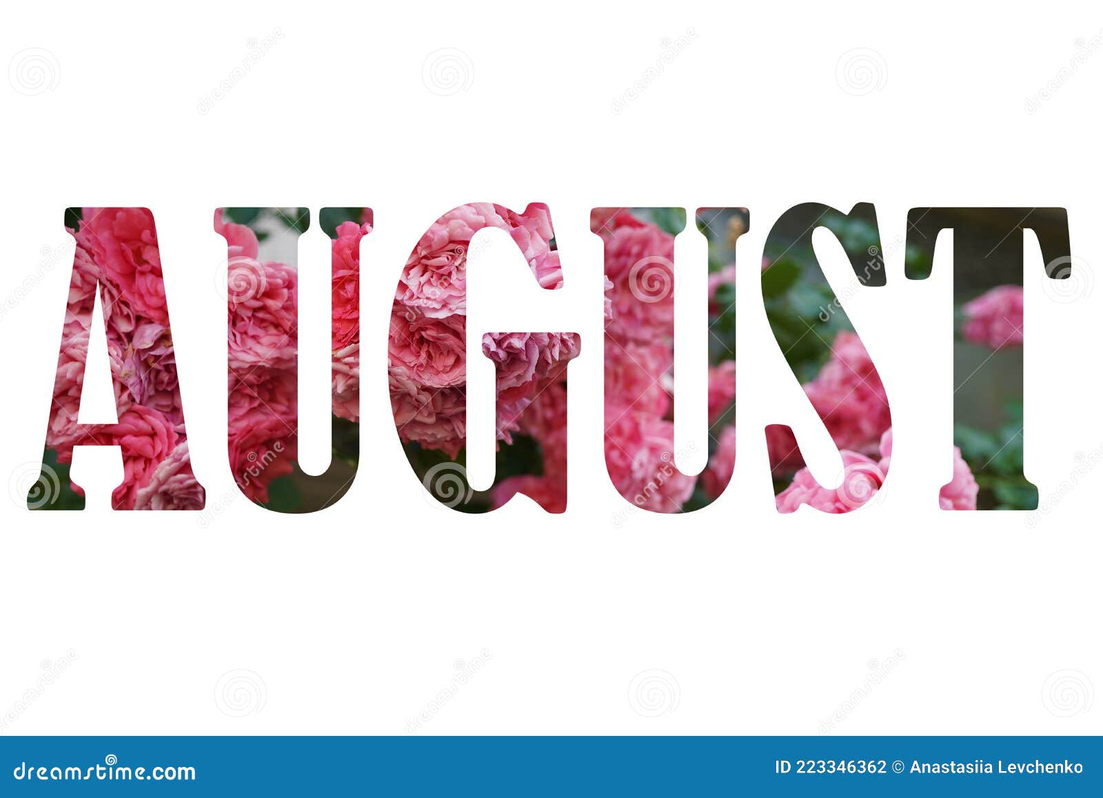 Word August Made of Leaves and Pink Flowers on White Background, Text ...